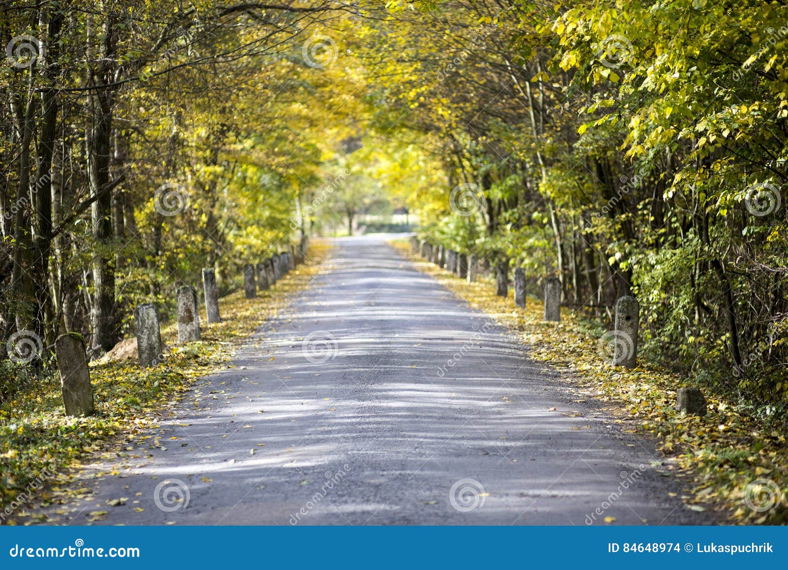 293 Road Milestones Stock Photos - Free & Royalty-Free Stock Photos ...