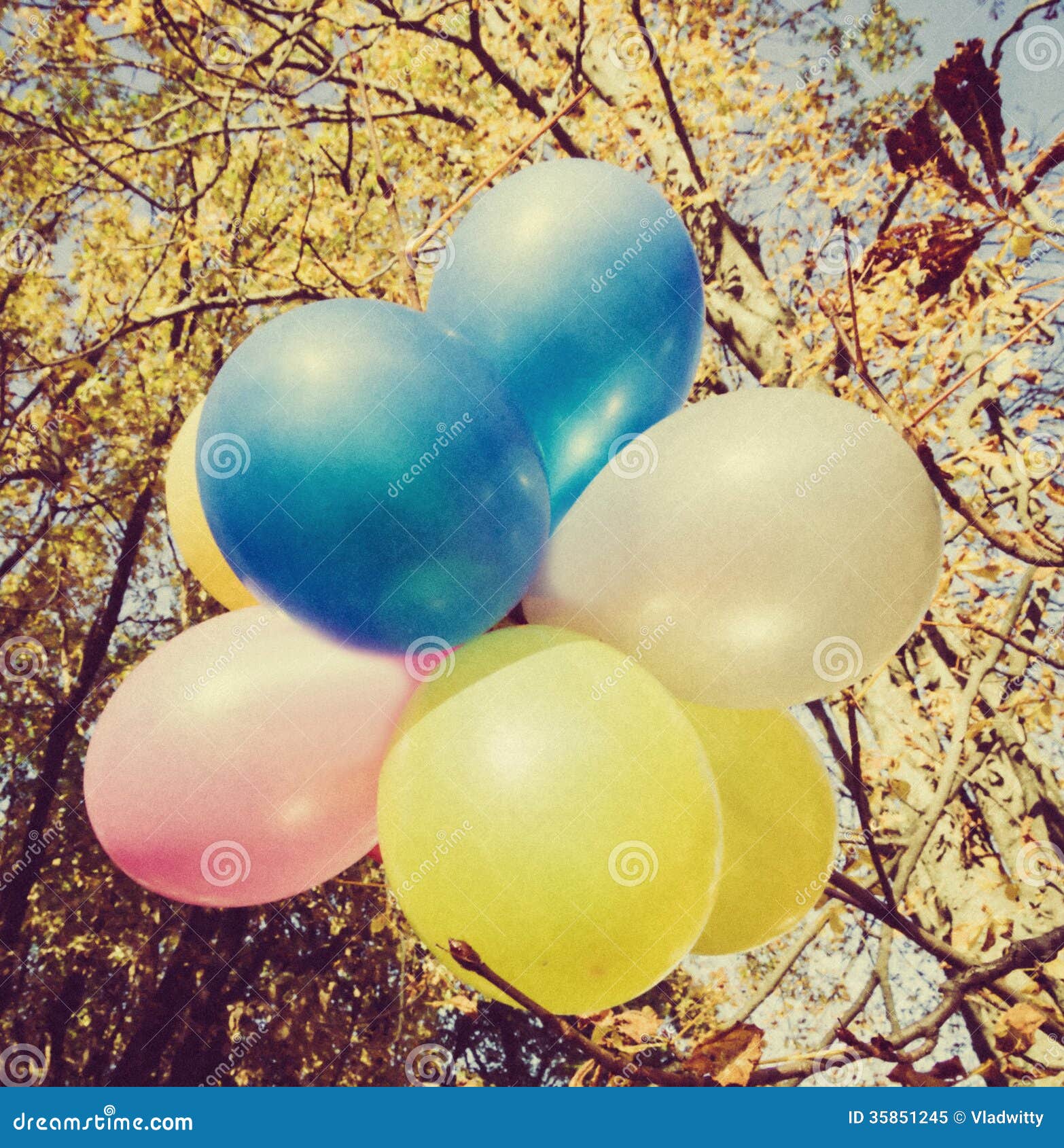 Colored ballons stock image. Image of float, tied, expand - 35851245