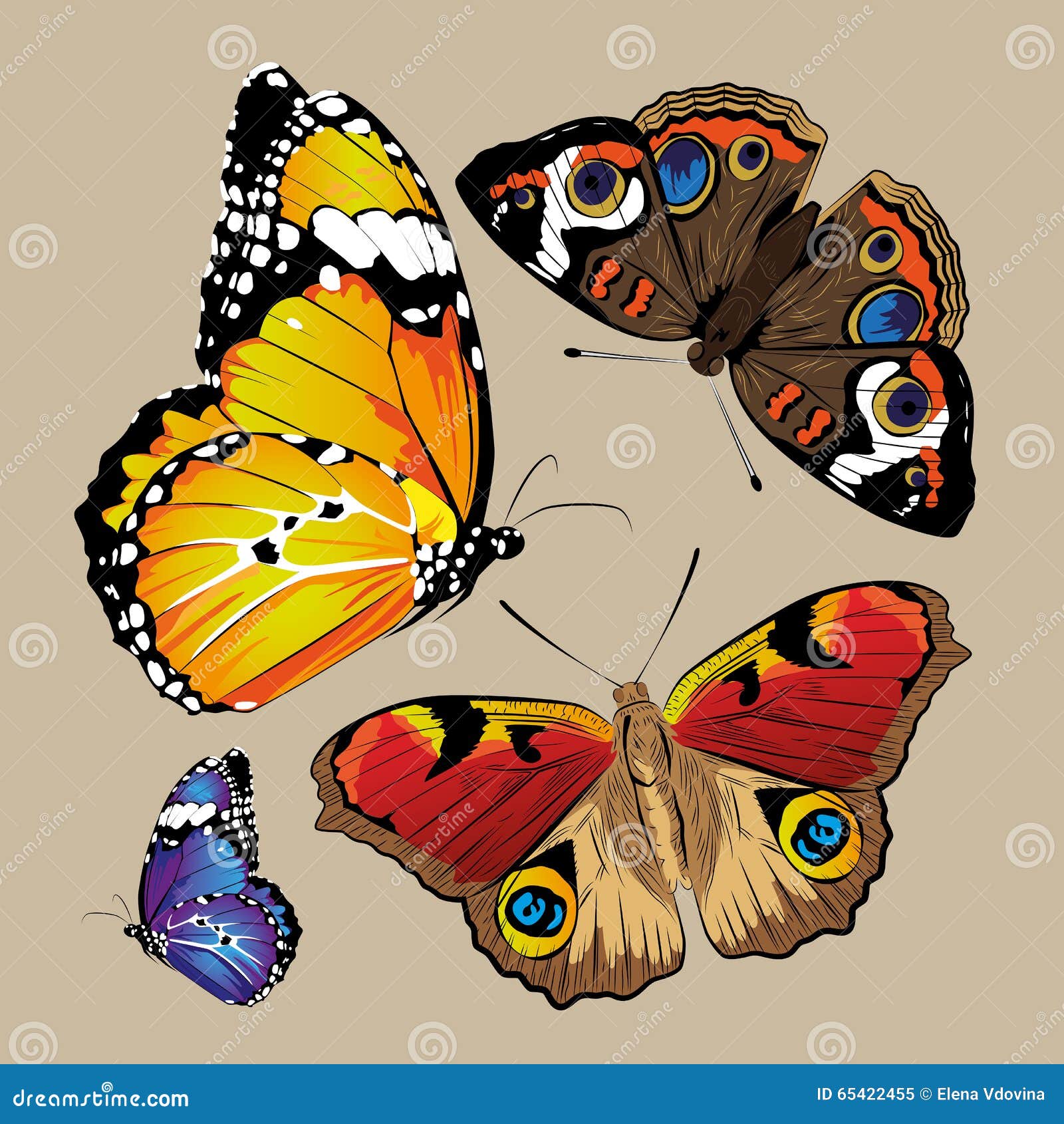 Colored Batterfly vector stock vector. Illustration of summer - 65422455
