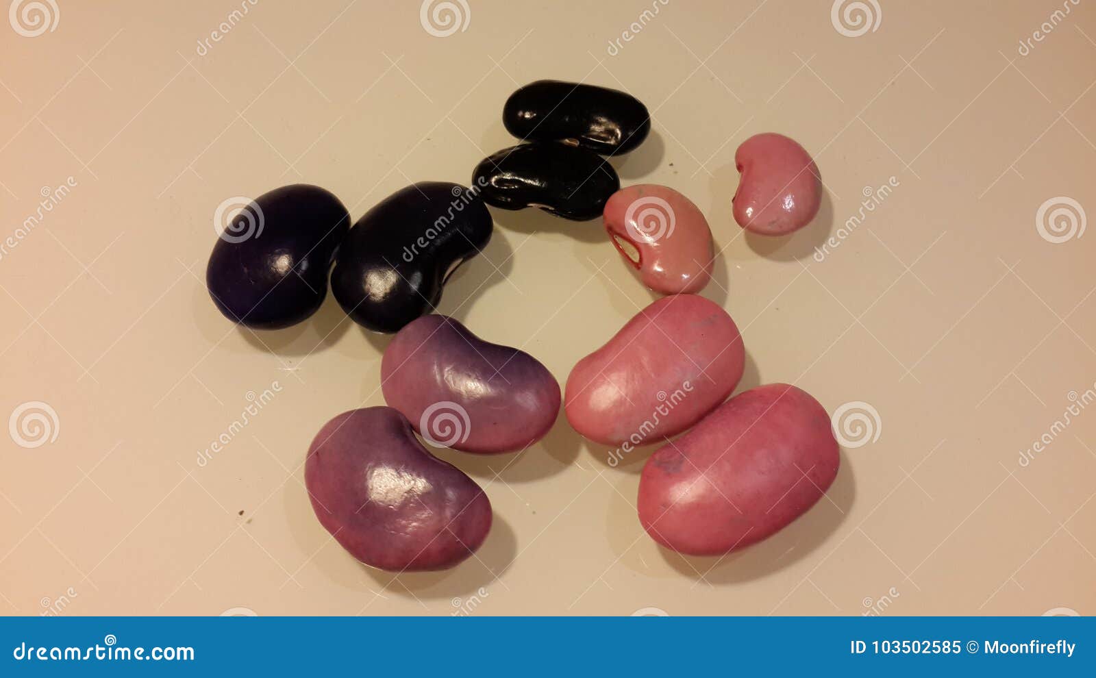 Art. Beans. stock image. Image of shape, colored, beans - 103502585