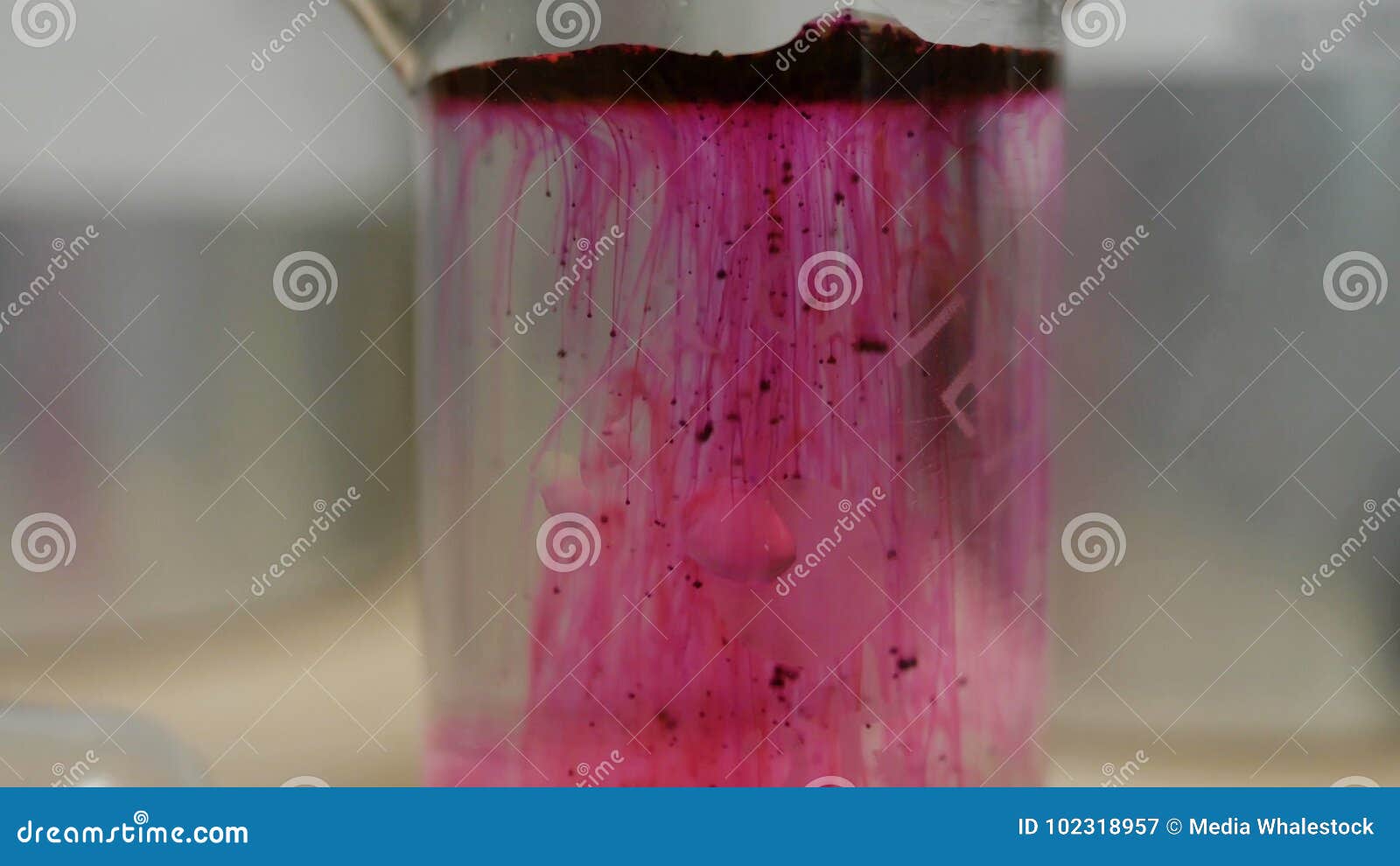 Colored Beautiful Chemical Reaction in Flask. Pink or Red Liquid ...