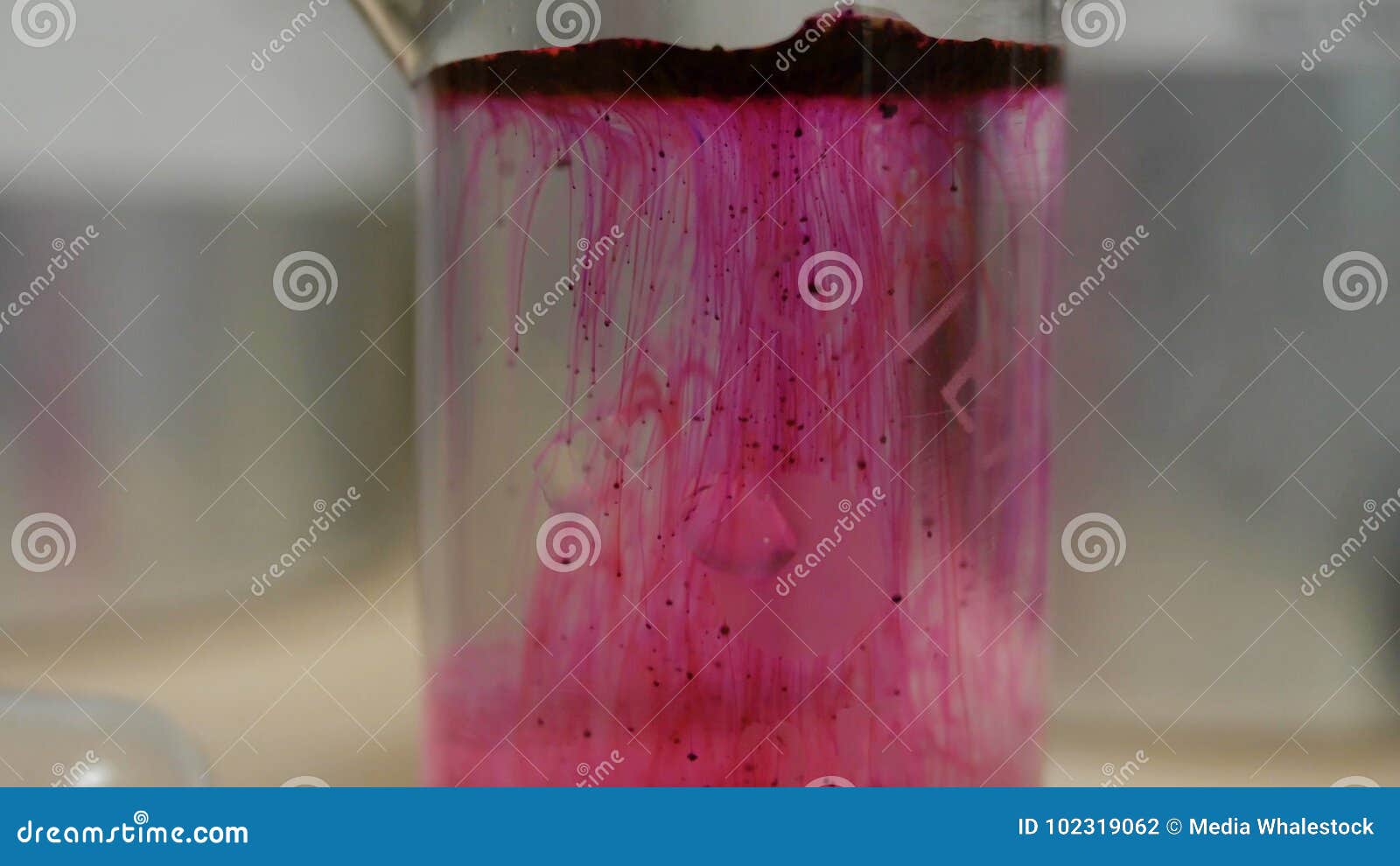 Colored Beautiful Chemical Reaction in Flask. Pink or Red Liquid ...