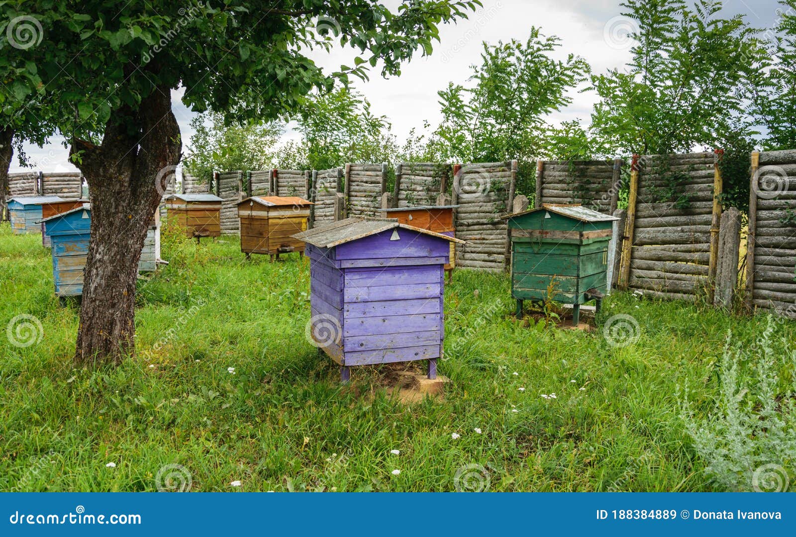 Colored Bee Hives Stand on the Grass in an Old Rustic Garden Stock ...