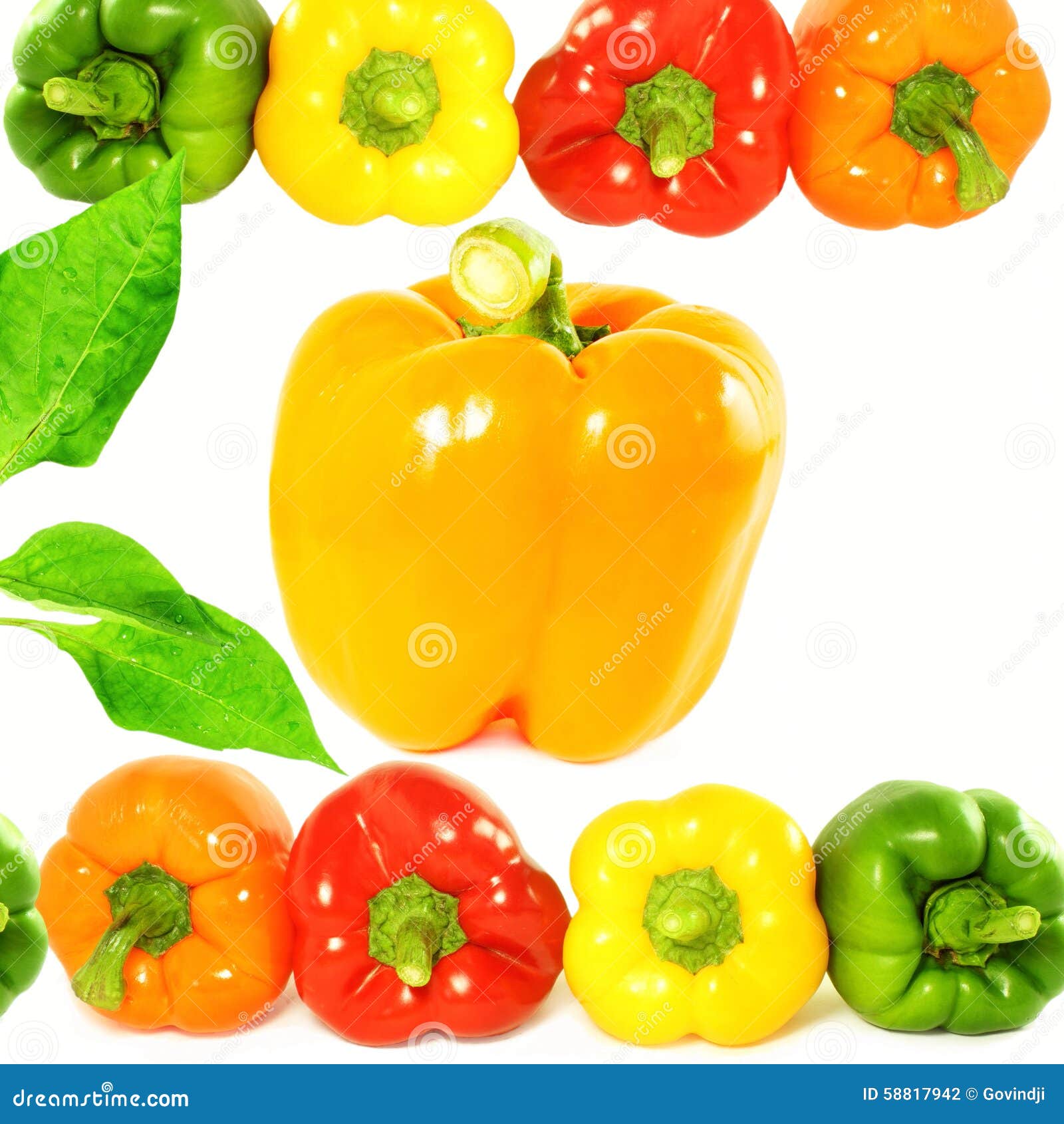 Colored Bell Peppers on White Background Stock Photo - Image of herb ...