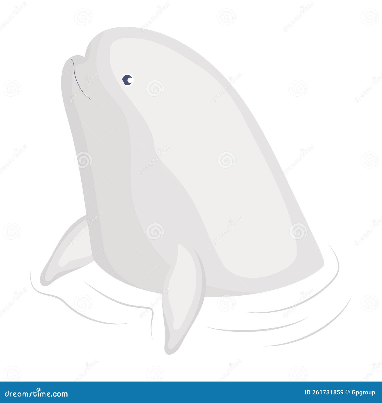 Beluga Illustration, Drawing, Engraving, Ink, Line Art, Vector ...