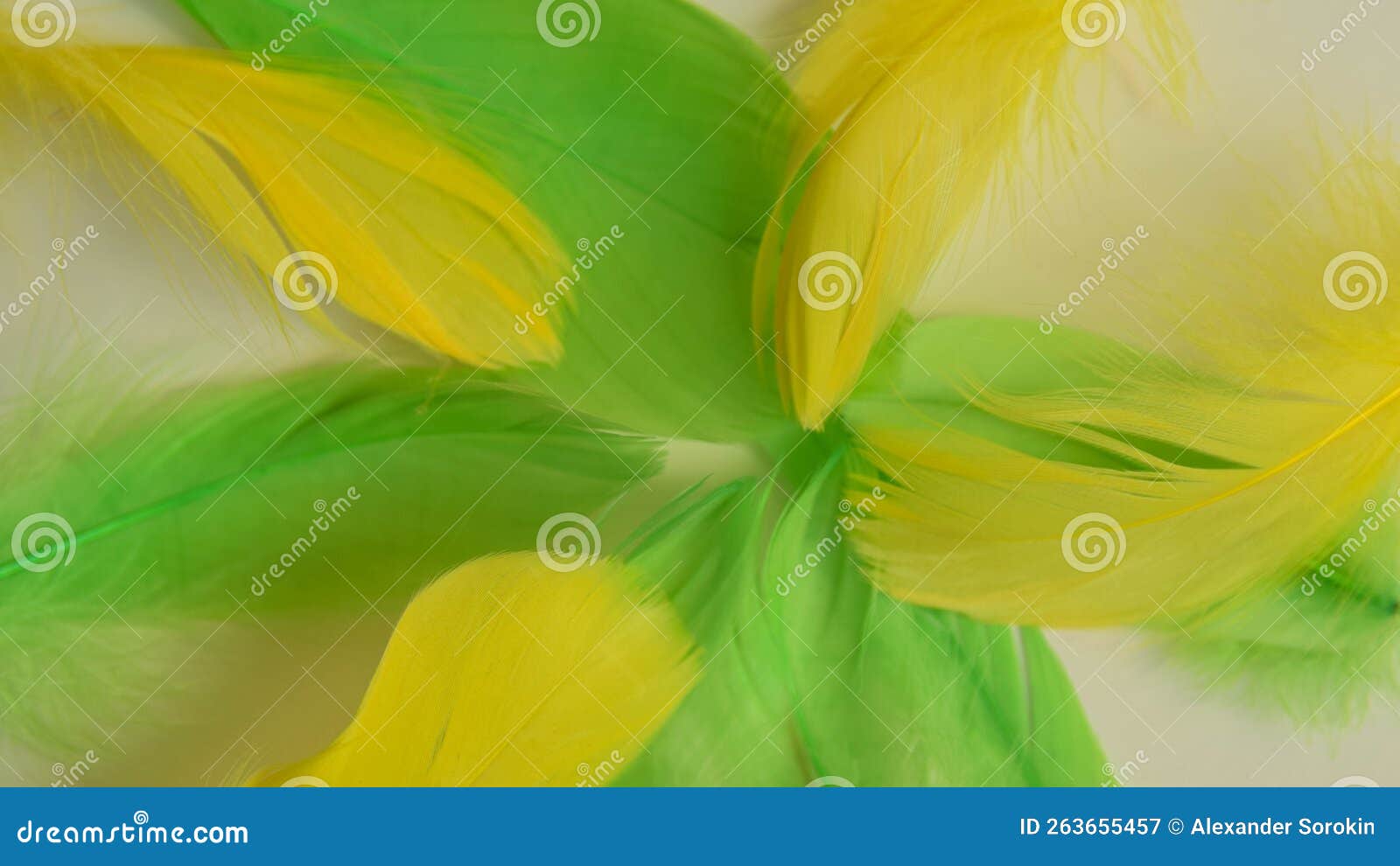 Colored Bird Feathers in Different Combinations, Boa - Female Accessory ...