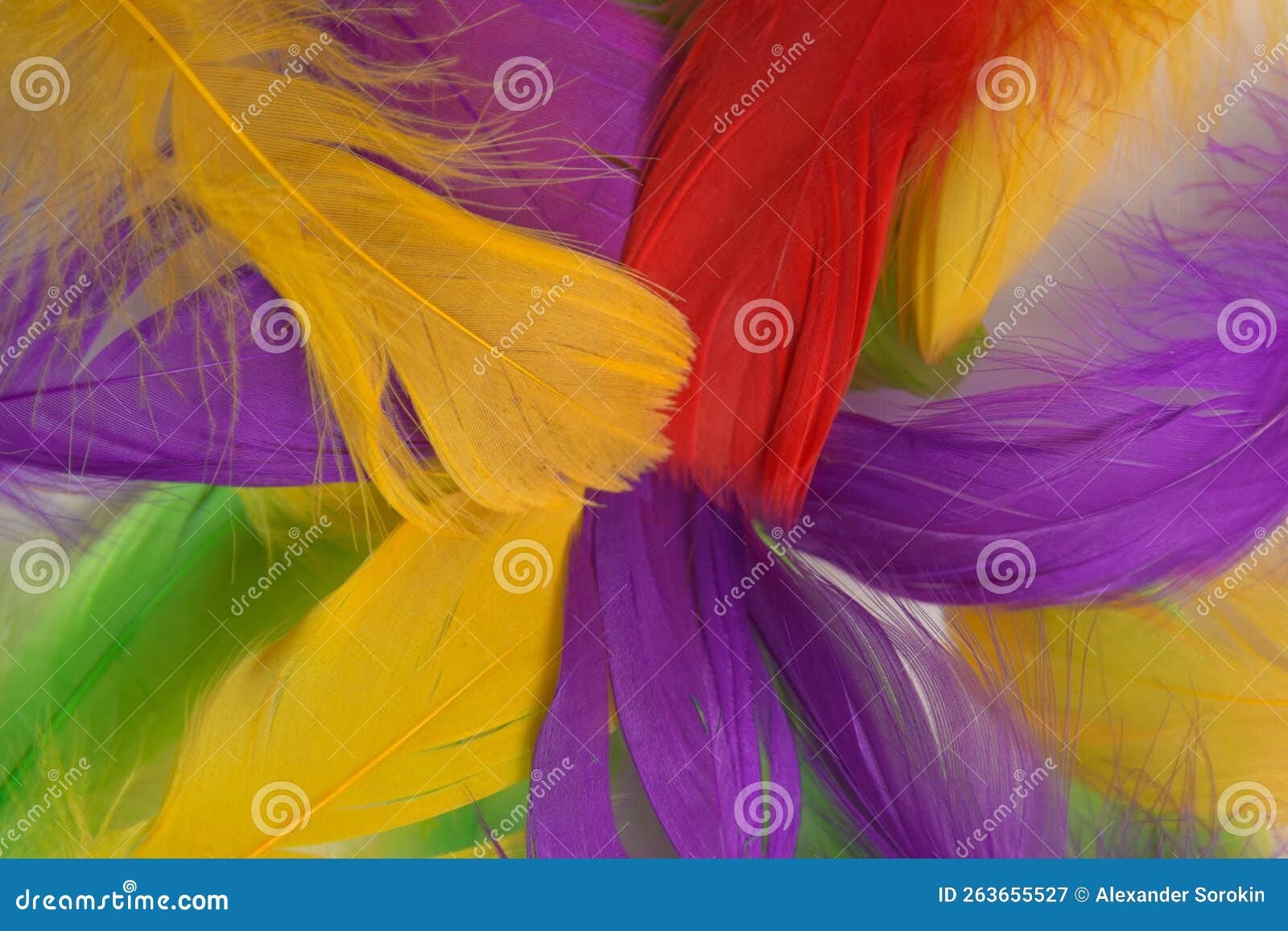 Colored Bird Feathers in Different Combinations, Boa - Female Accessory ...