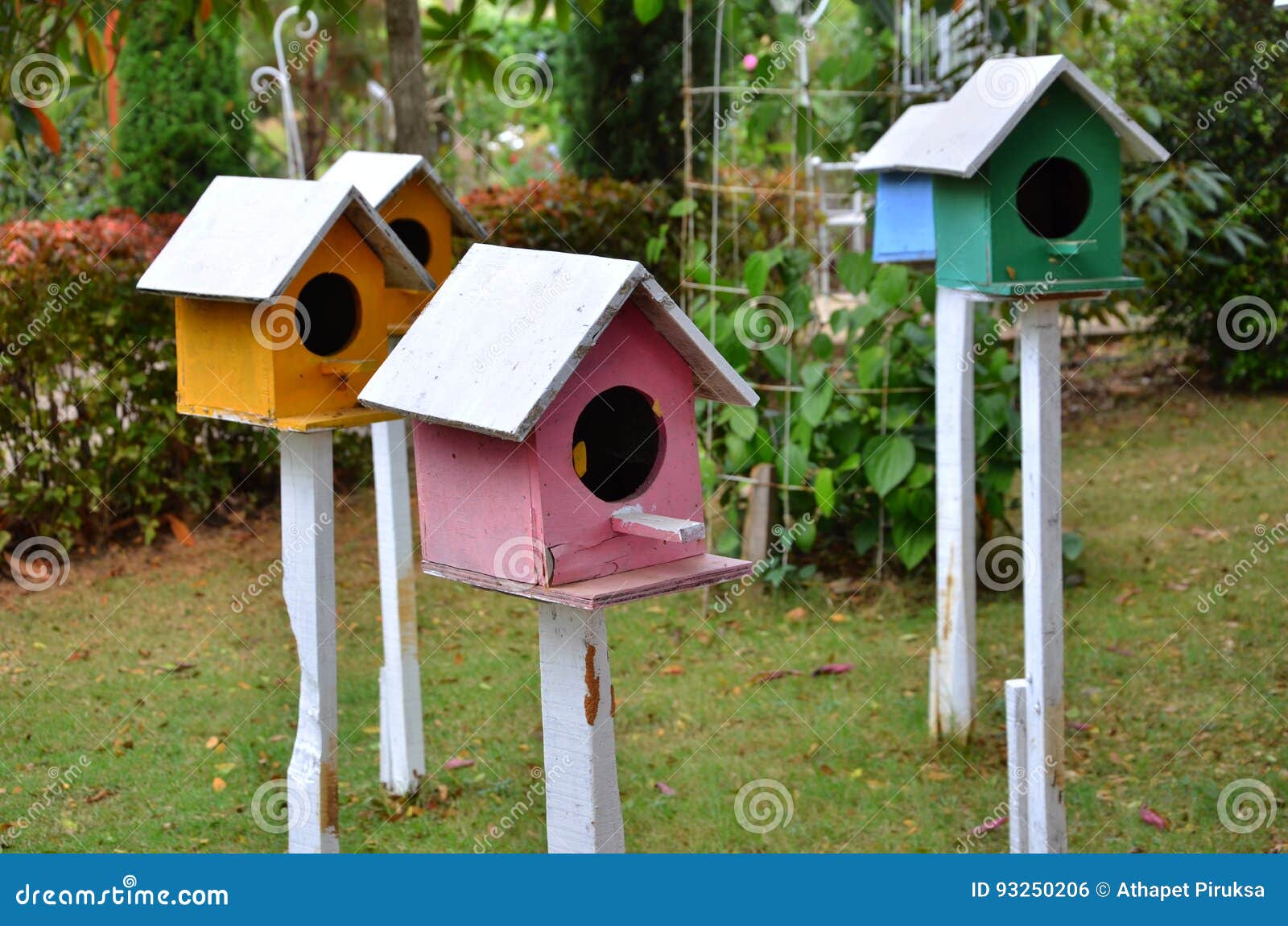 Colored bird houses stock photo. Image of season, roof - 93250206