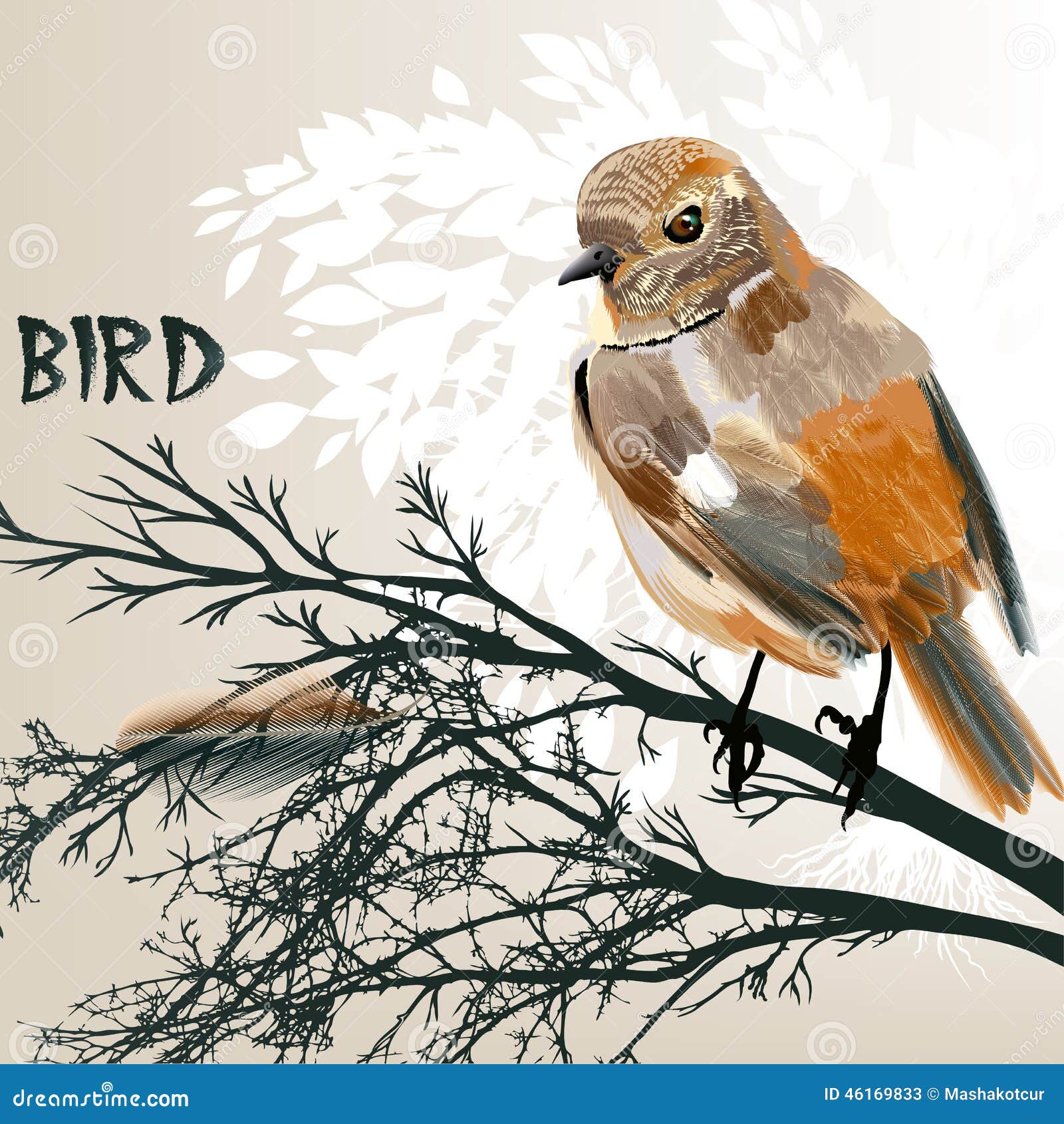 Colored Bird Sit on a Branch Tree Stock Vector - Illustration of ...