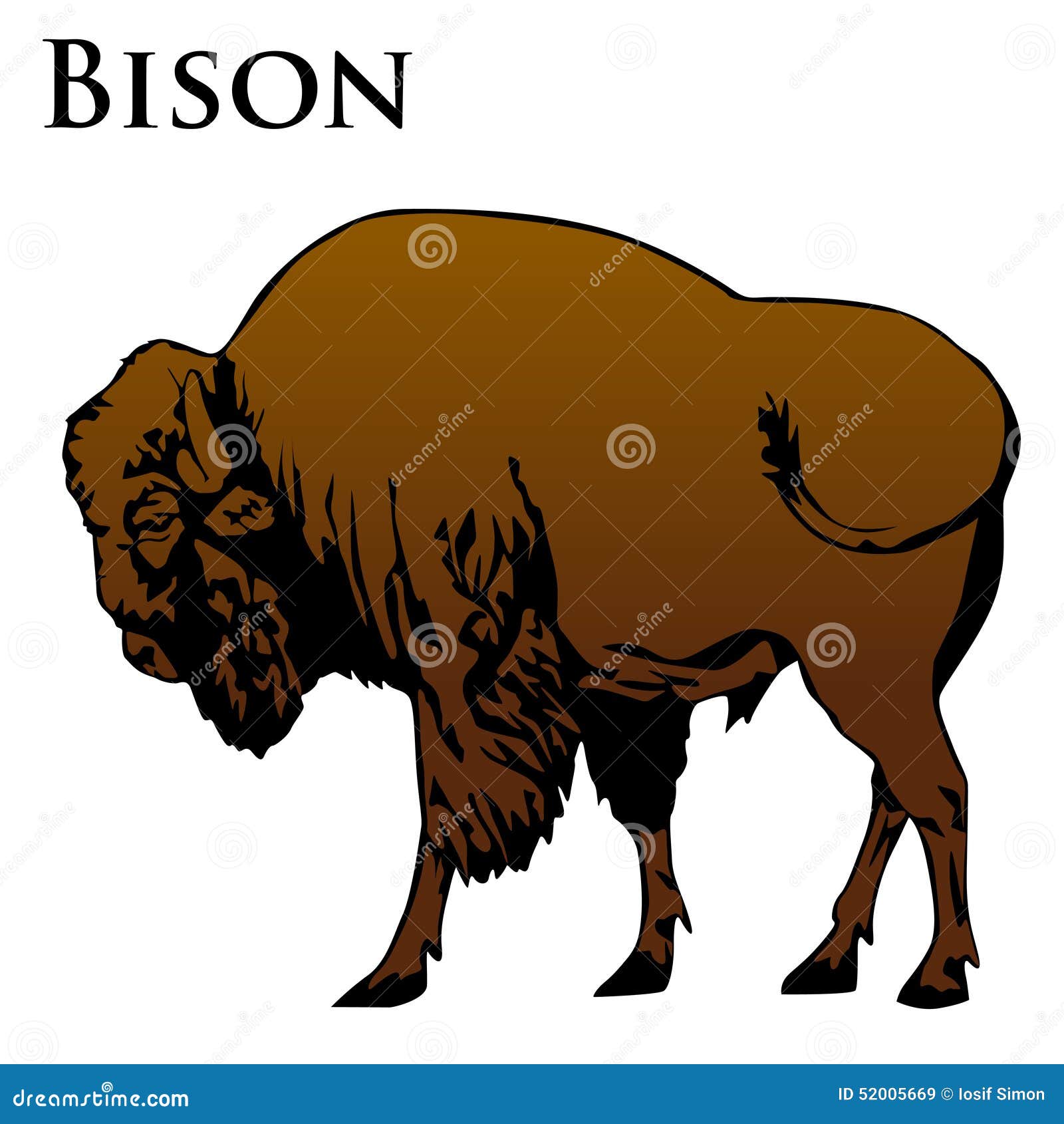 Colored bison illustration stock illustration. Illustration of wild ...