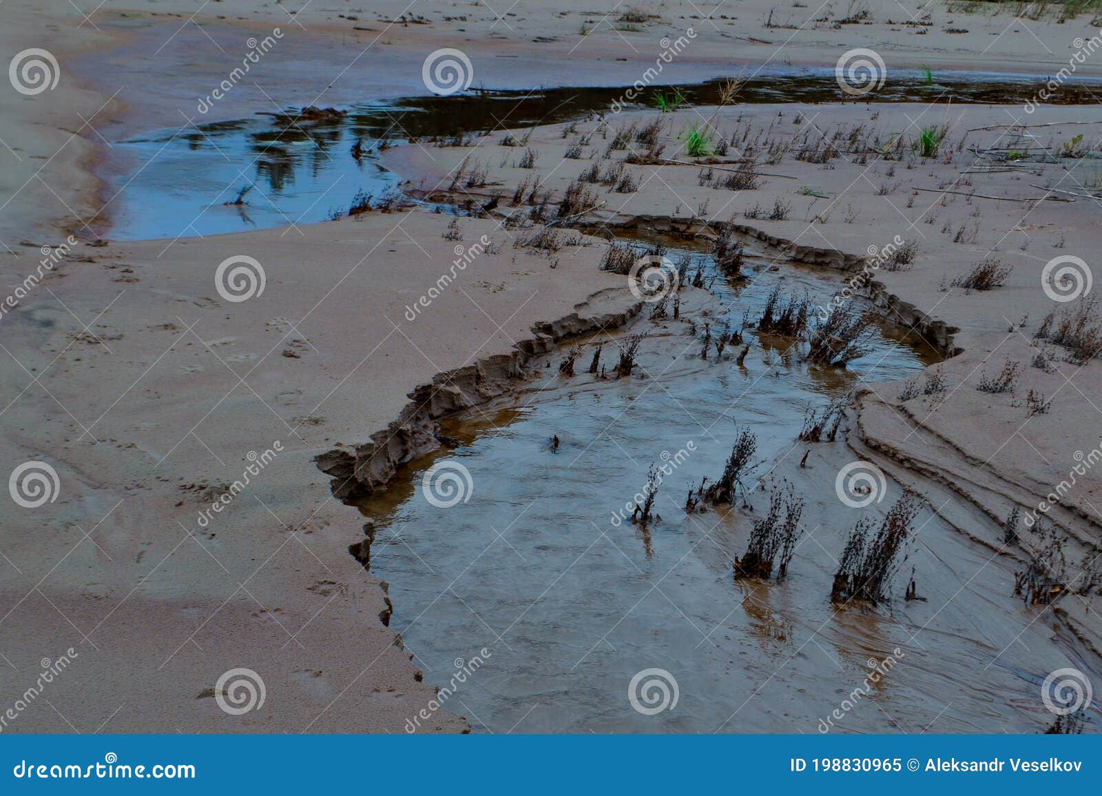 Colored Blue Small Winding Stream Flows in Sand with Grass and ...