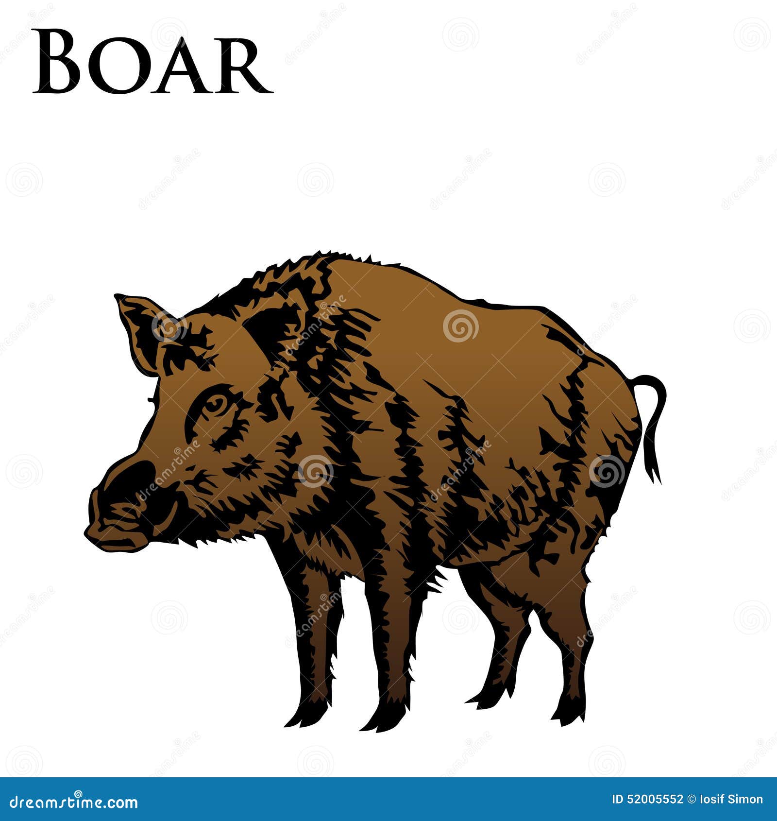 Colored boar illustration stock illustration. Illustration of clipart ...