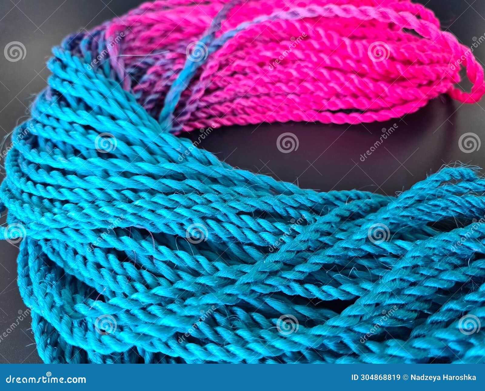 Colored Braids with Bright Pink and Blue Elastic Bands on a Black ...
