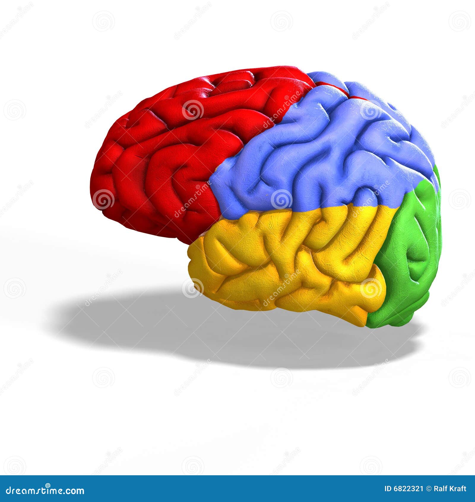 Colored brain stock illustration. Illustration of render - 6822321