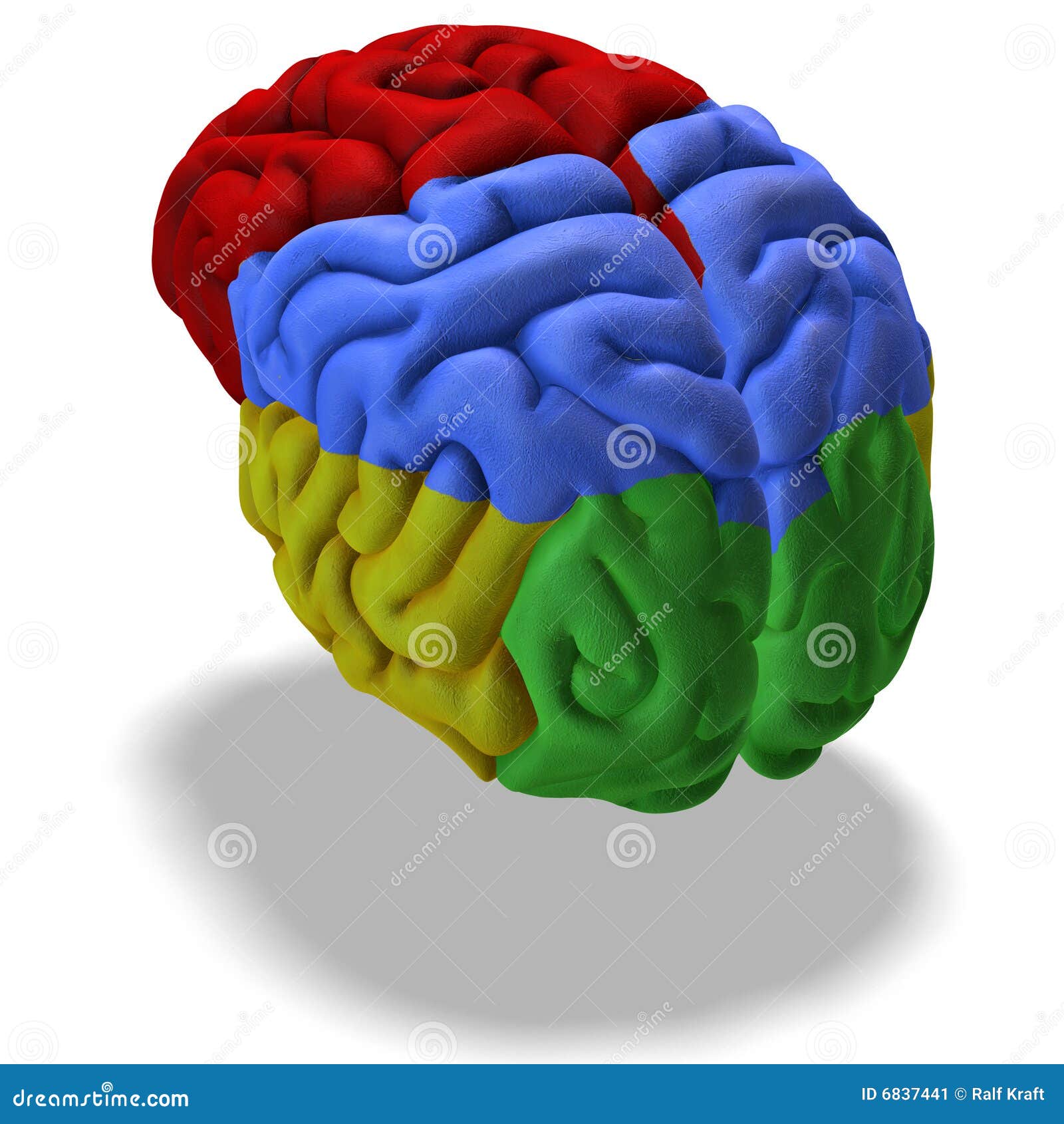 Colored brain stock illustration. Illustration of savvy - 6837441