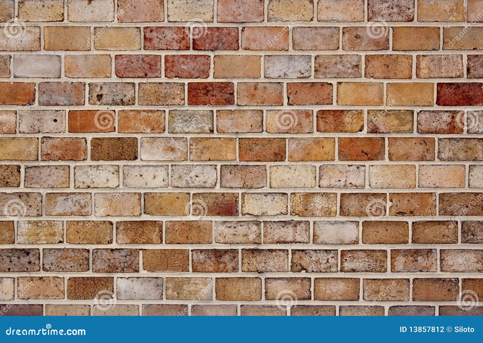 Colored brick wall stock photo. Image of pattern, brick - 13857812