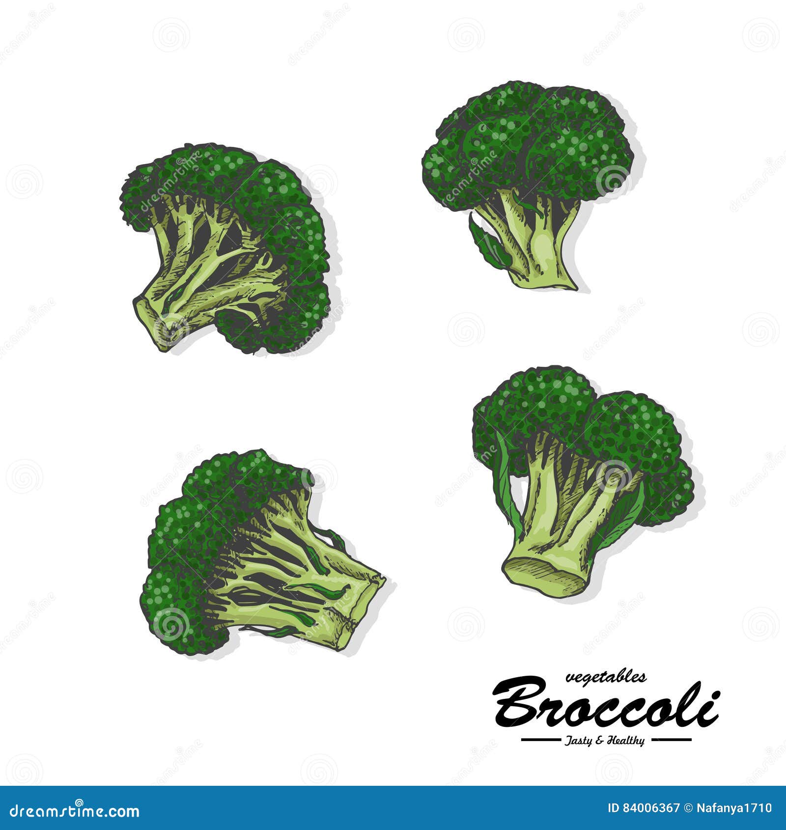 Colored Broccoli in Sketch Style Stock Vector - Illustration of spring ...