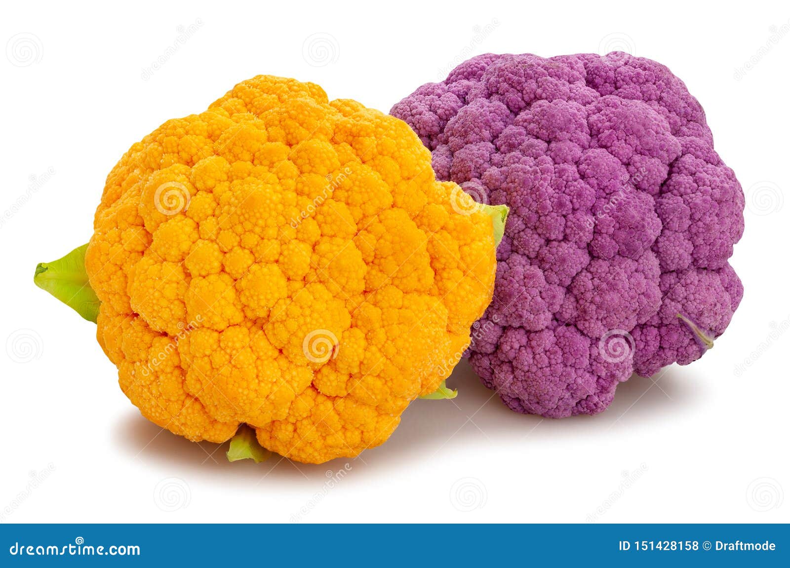 Colored cauliflower stock photo. Image of path, group - 151428158