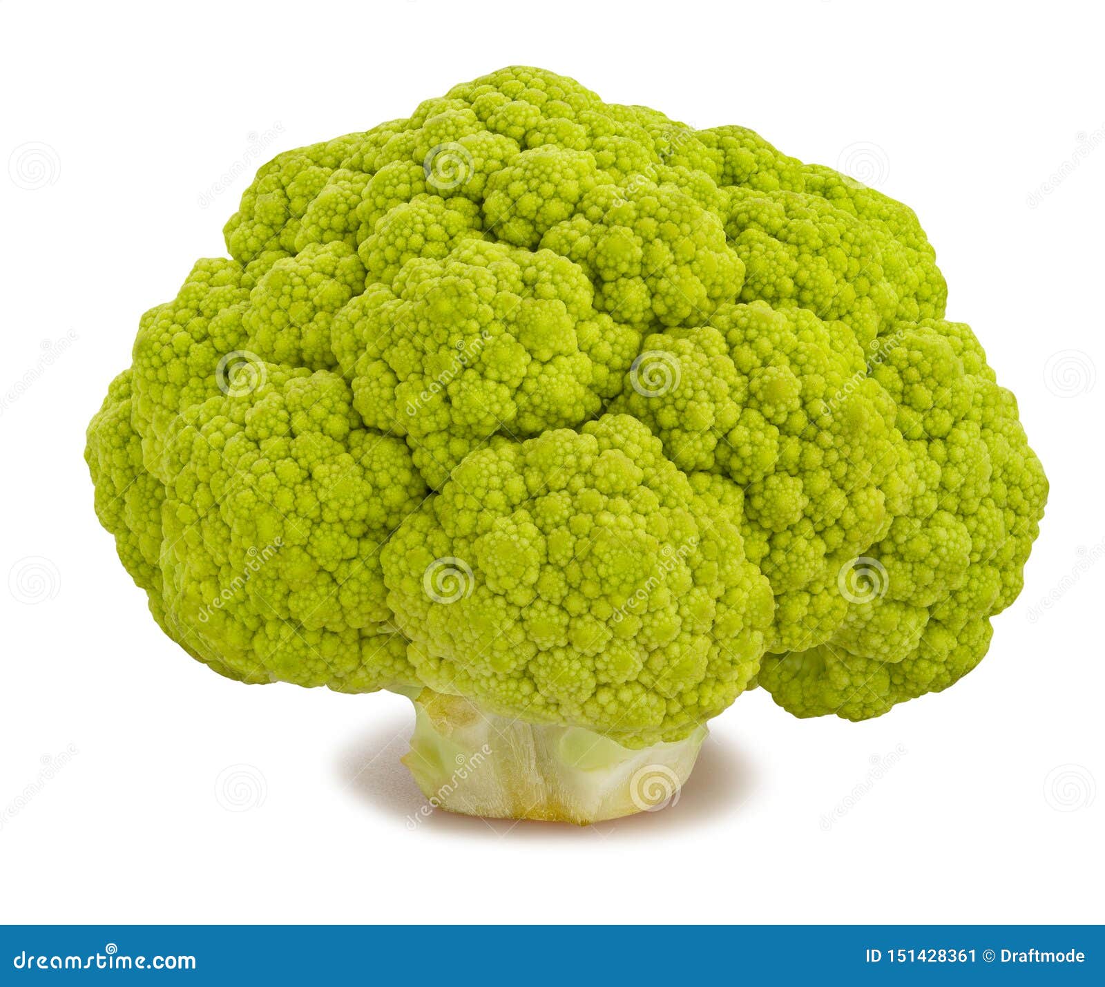 Colored cauliflower stock image. Image of closeup, green - 151428361