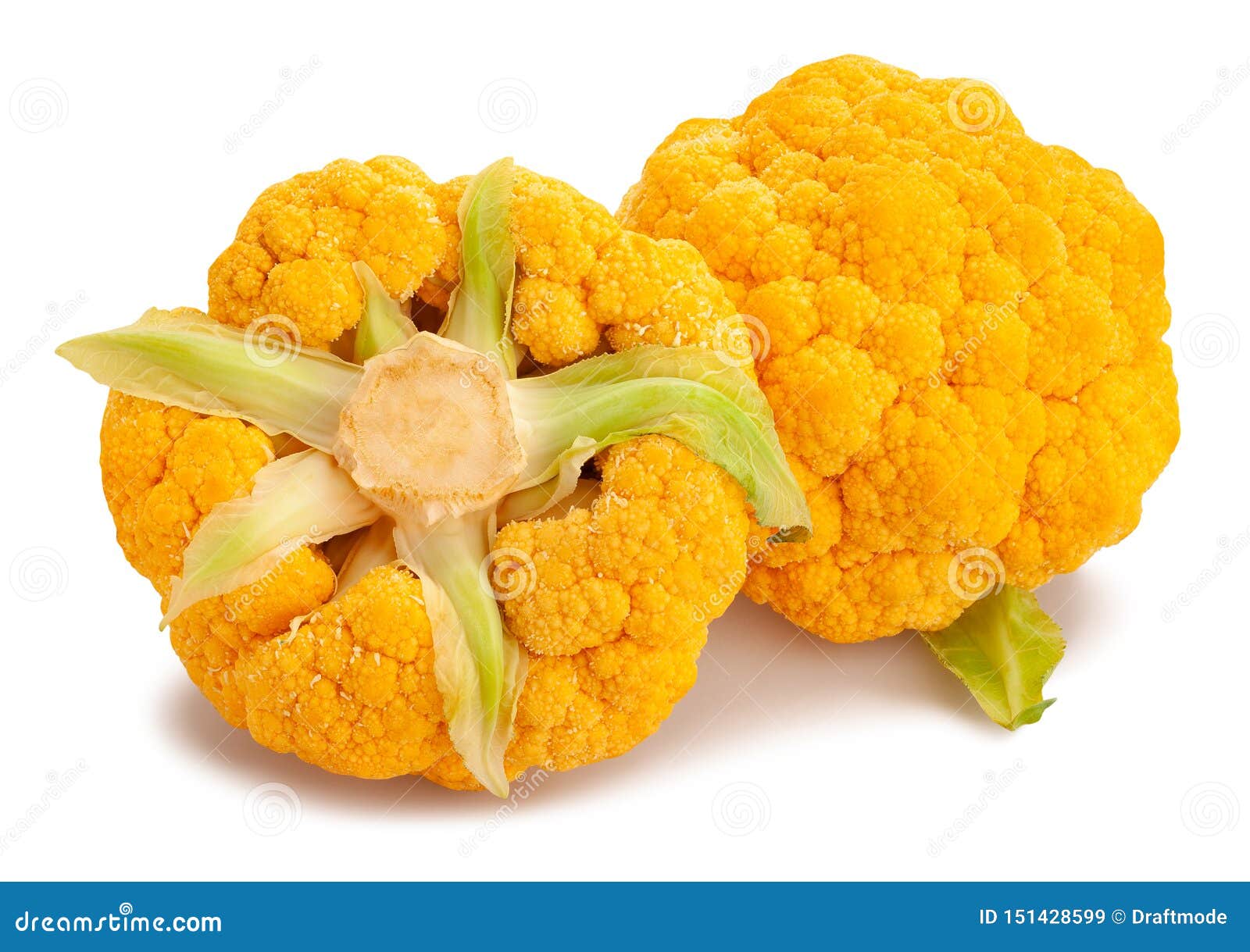 Colored cauliflower stock image. Image of colored, food - 151428599