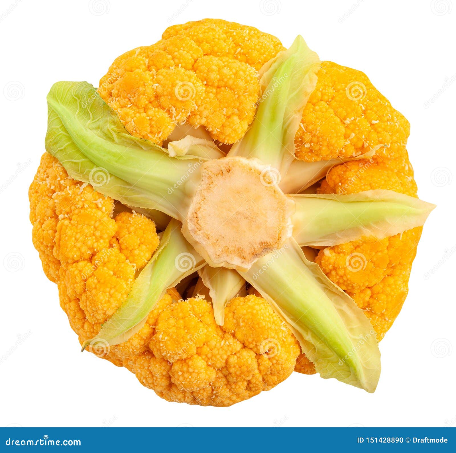 Colored cauliflower stock photo. Image of healthy, ripe - 151428890