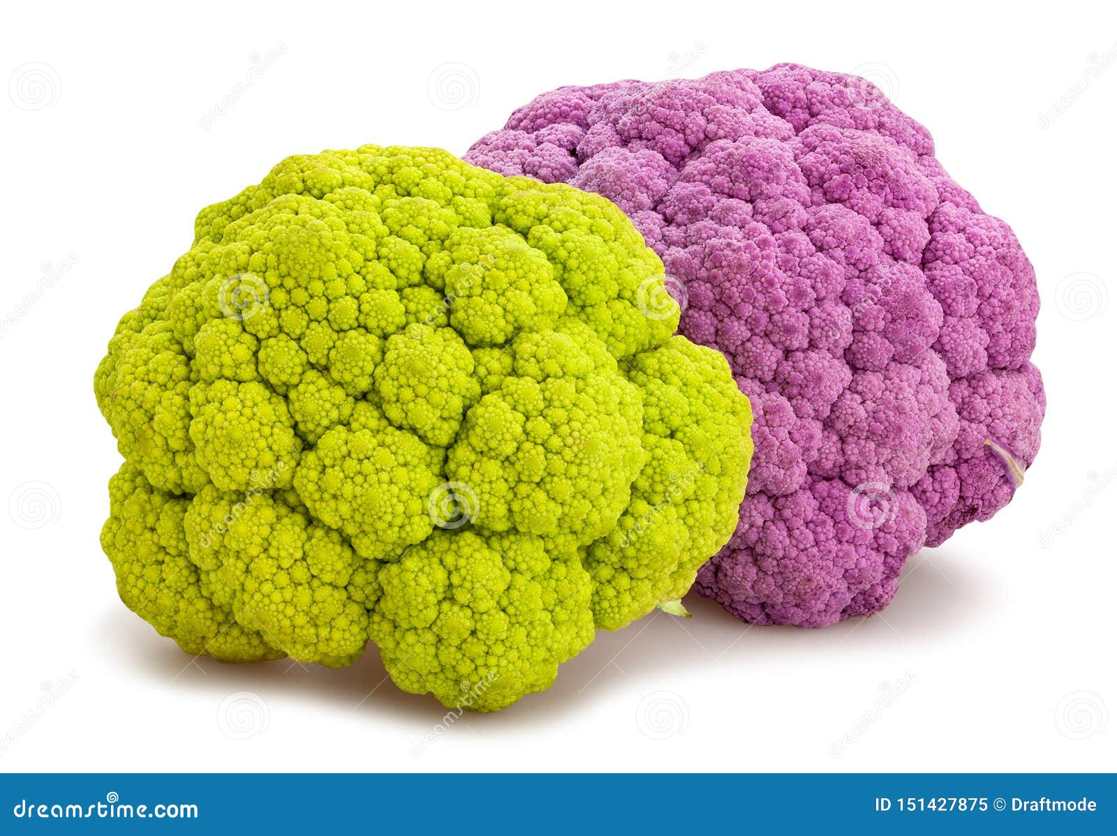 Colored cauliflower stock image. Image of isolated, nutrient - 151427875