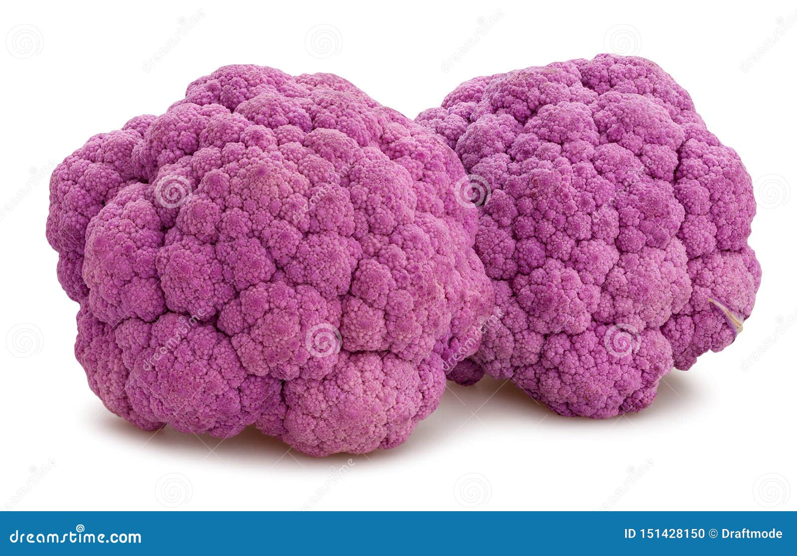 Colored cauliflower stock photo. Image of colorful, path - 151428150