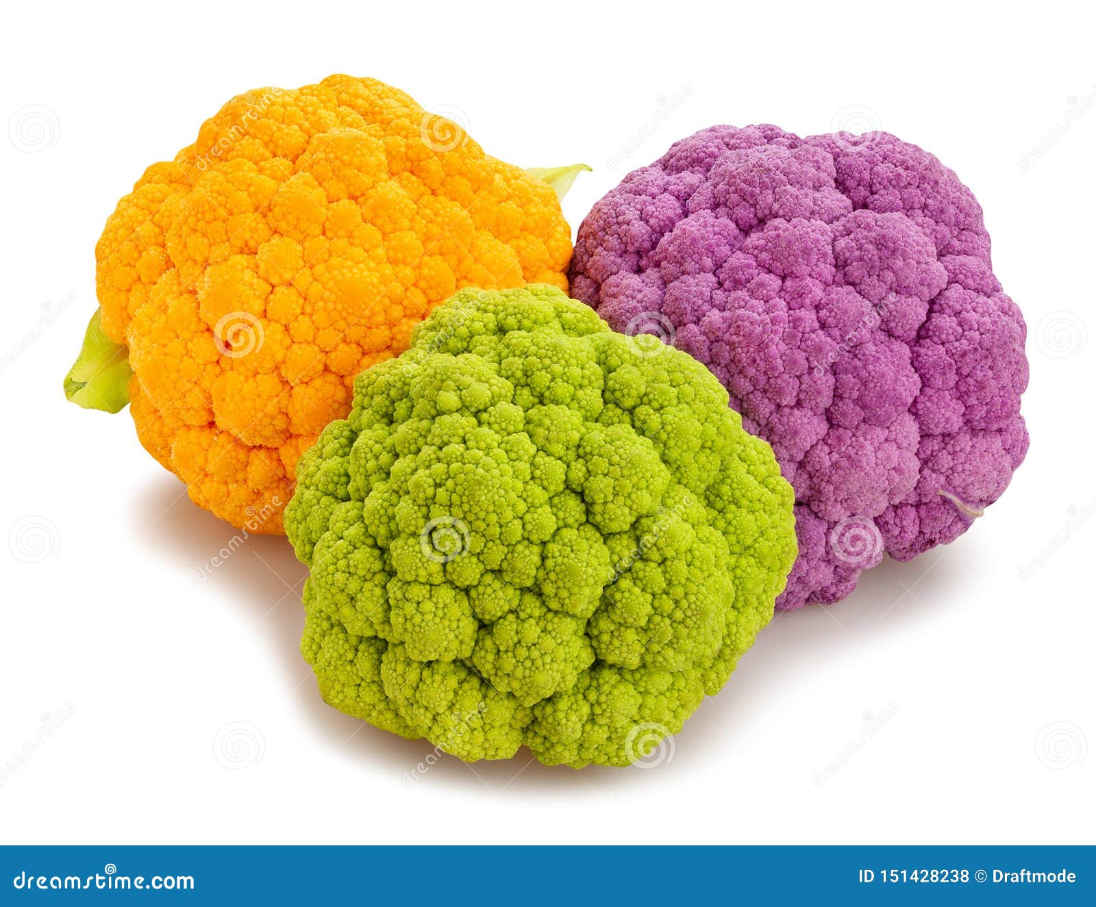 Colored cauliflower stock photo. Image of vivid, clipping - 151428238