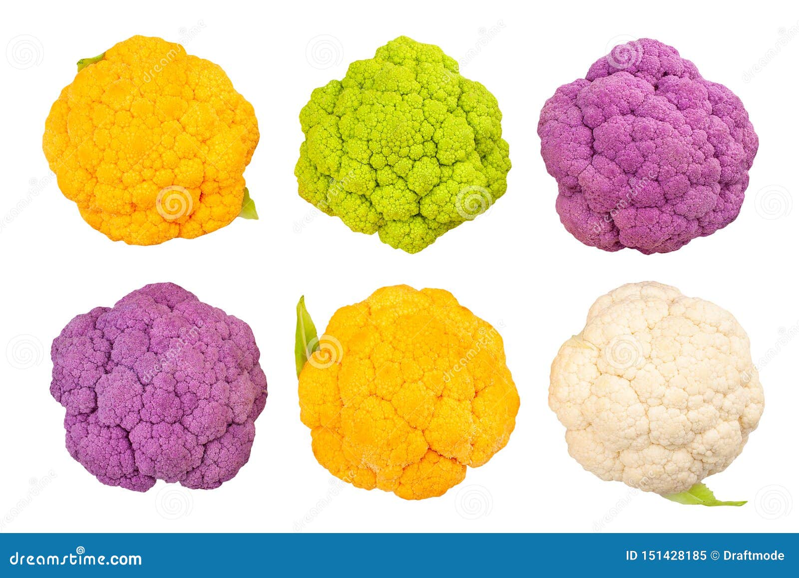 Colored cauliflower stock image. Image of isolated, purple - 151428185