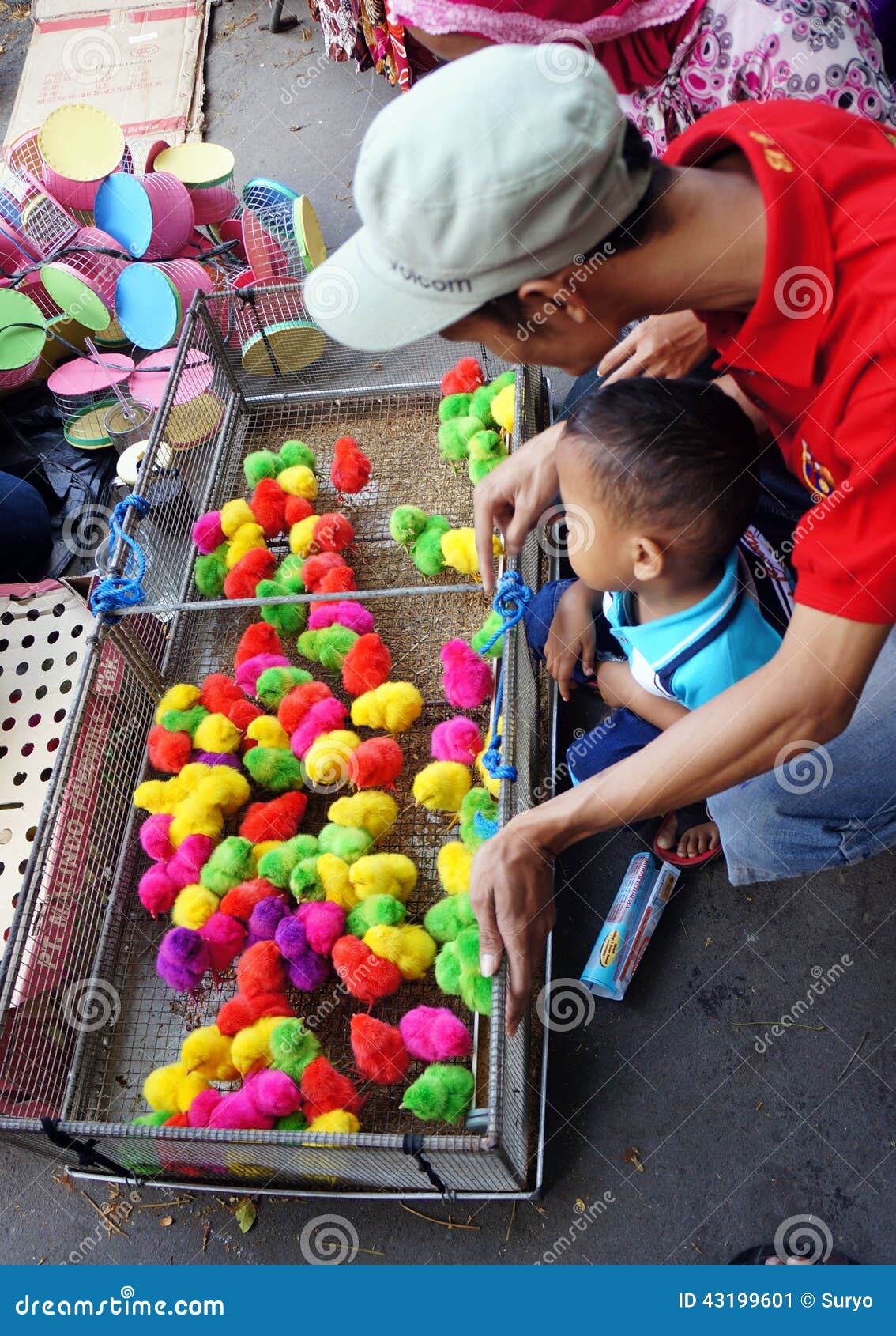Colored chicks editorial photo. Image of merchants, business - 43199601