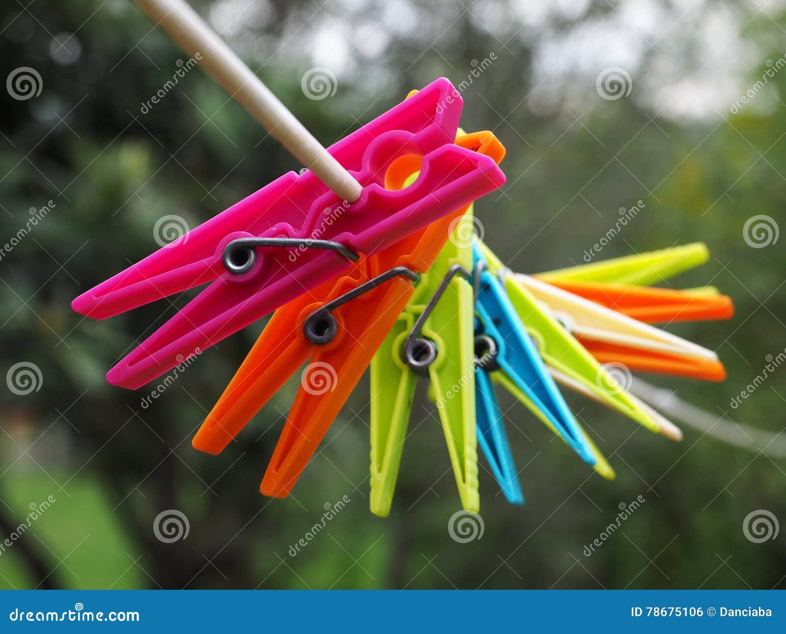 Colored clothes pegs stock photo. Image of banner, clothespin - 78675106