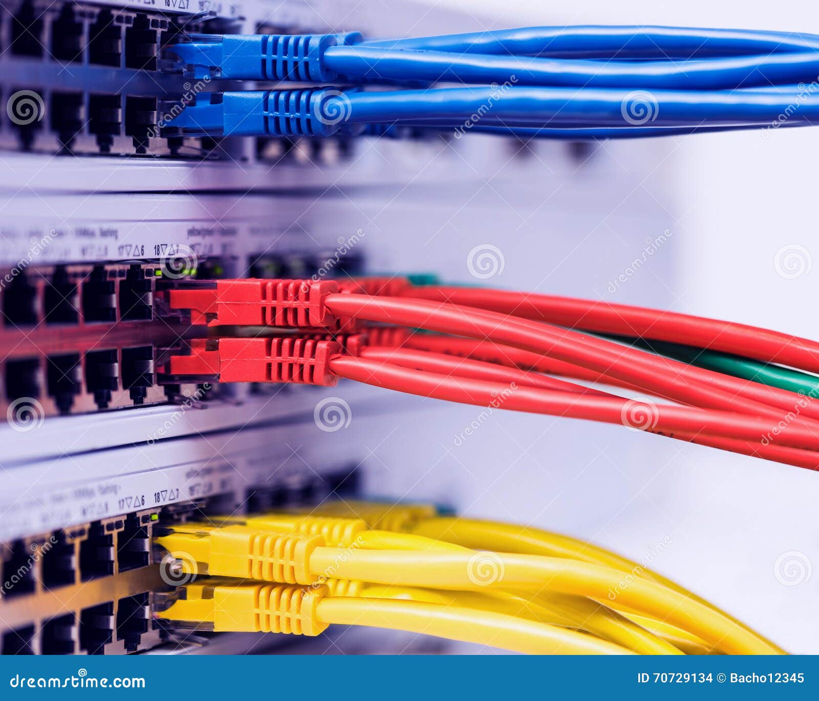 Colored Computer Network Plugs Connected To a Switch Stock Photo ...