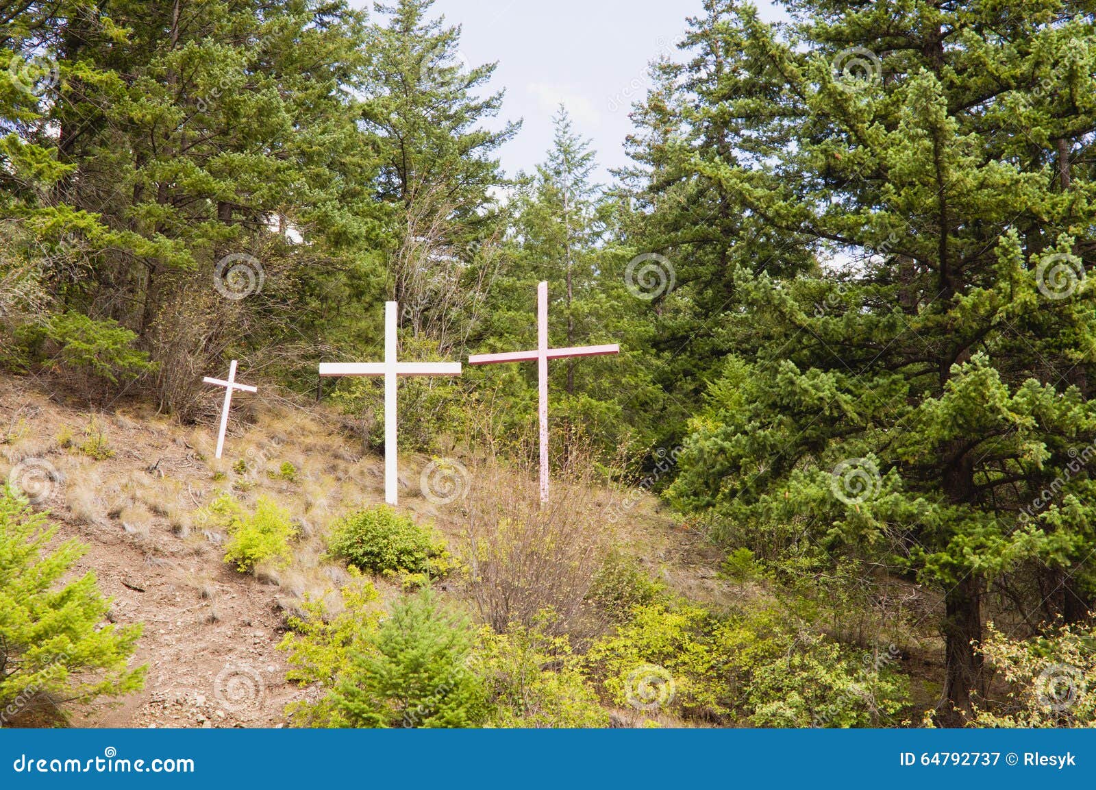 Colored crosses stock image. Image of trees, hill, canada - 64792737