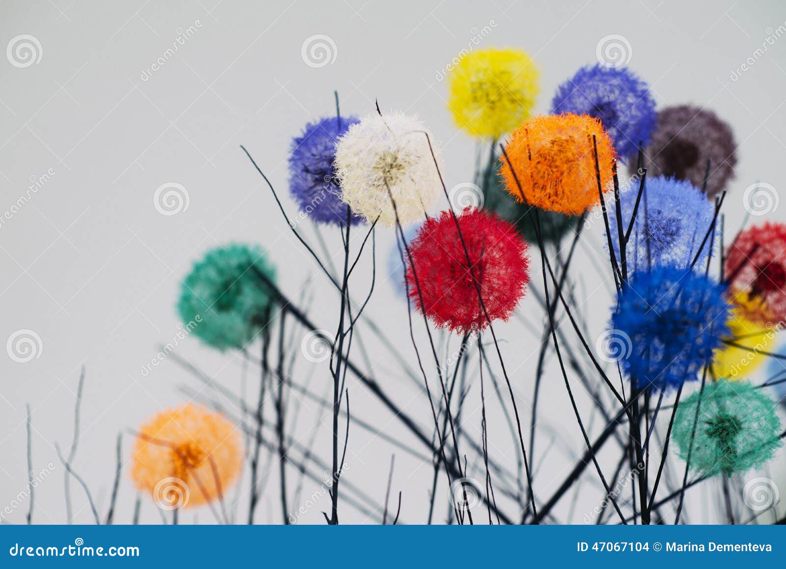 Colored dandelions stock photo. Image of bloom, evergreen - 47067104