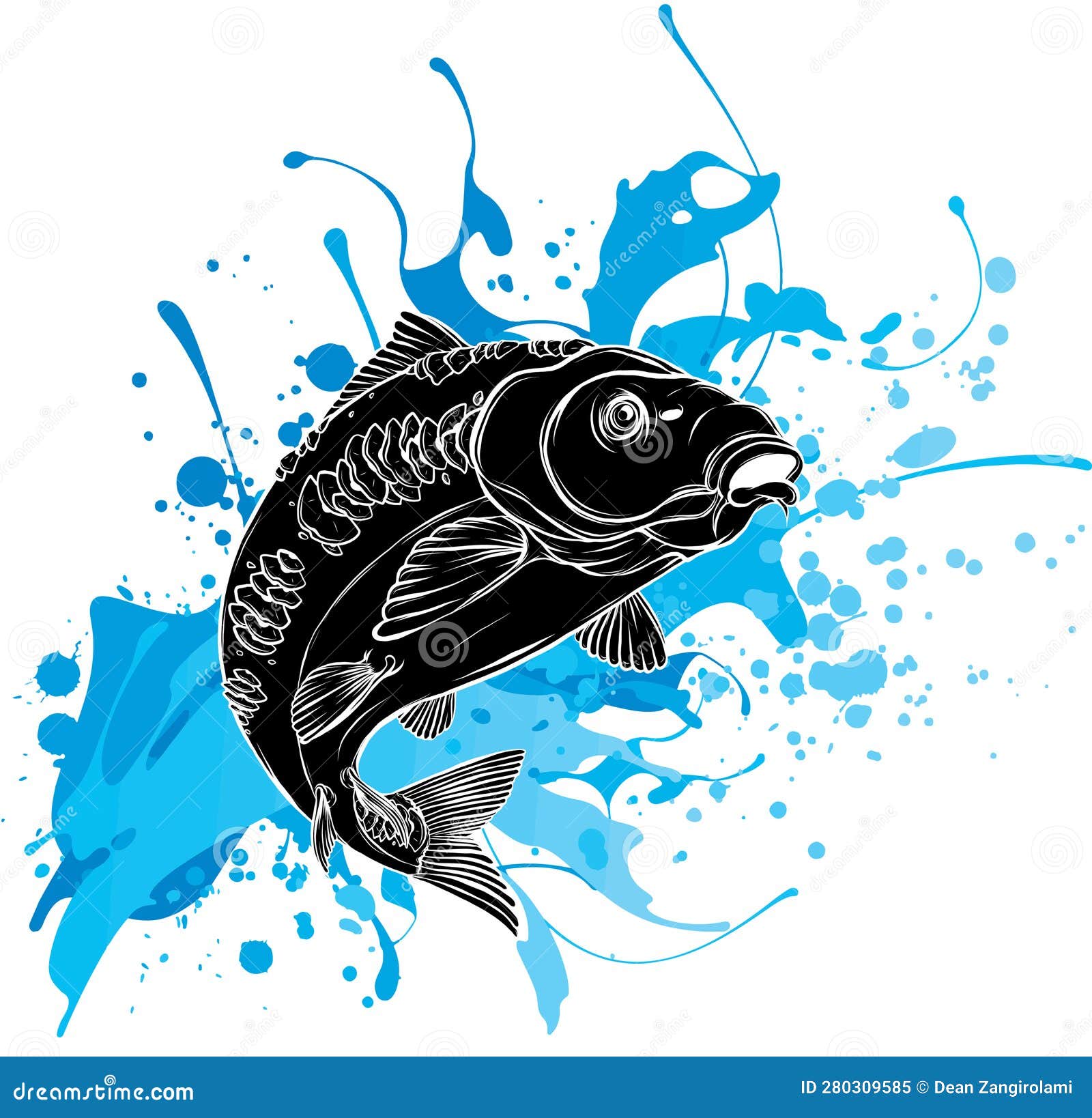Colored Draw of Carp Fish Vector Illustration Design Stock Vector ...