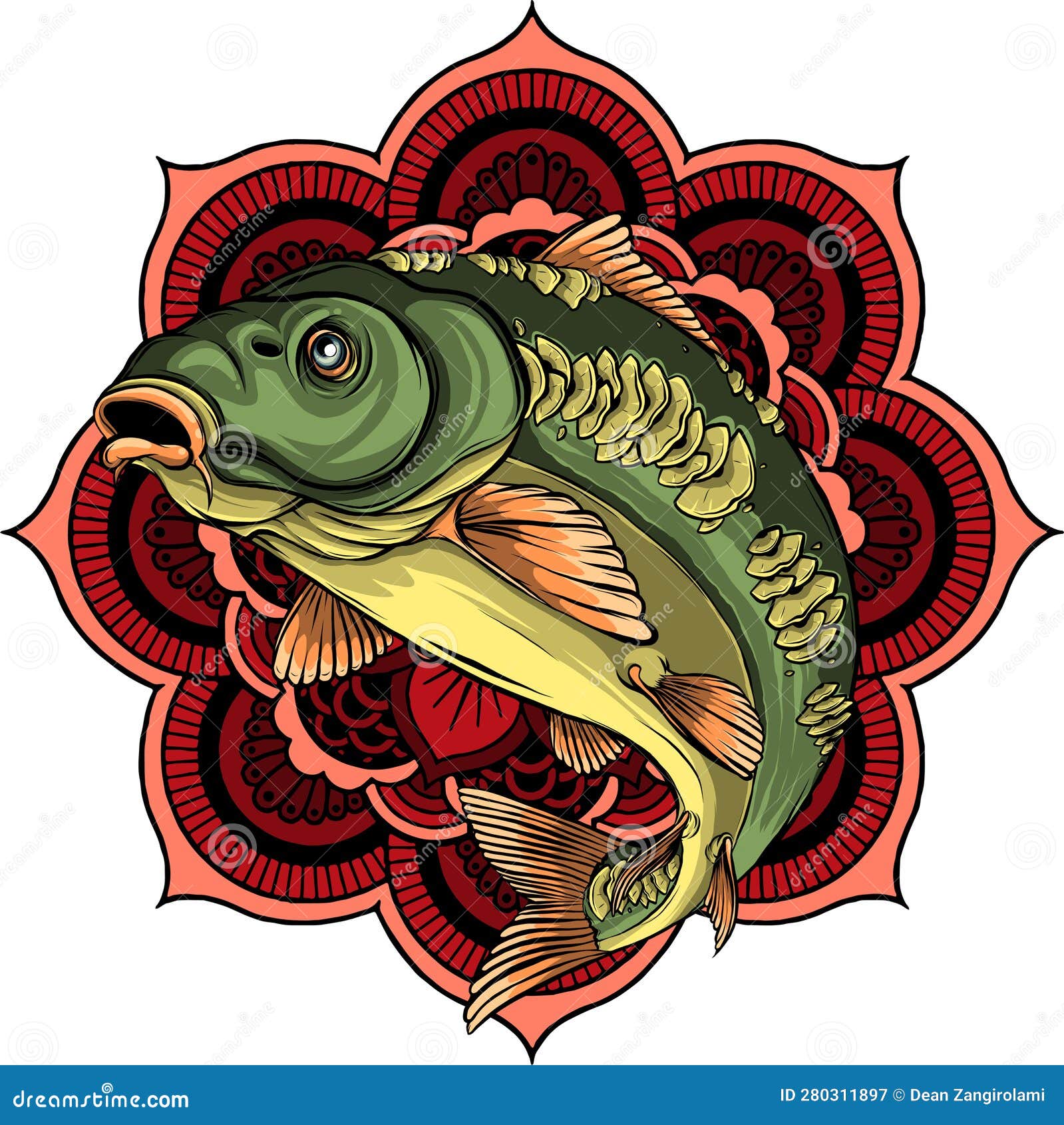 Colored Draw of Carp Fish Vector Illustration Design Stock Vector ...