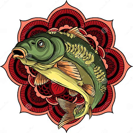 Colored Draw of Carp Fish Vector Illustration Design Stock Vector ...