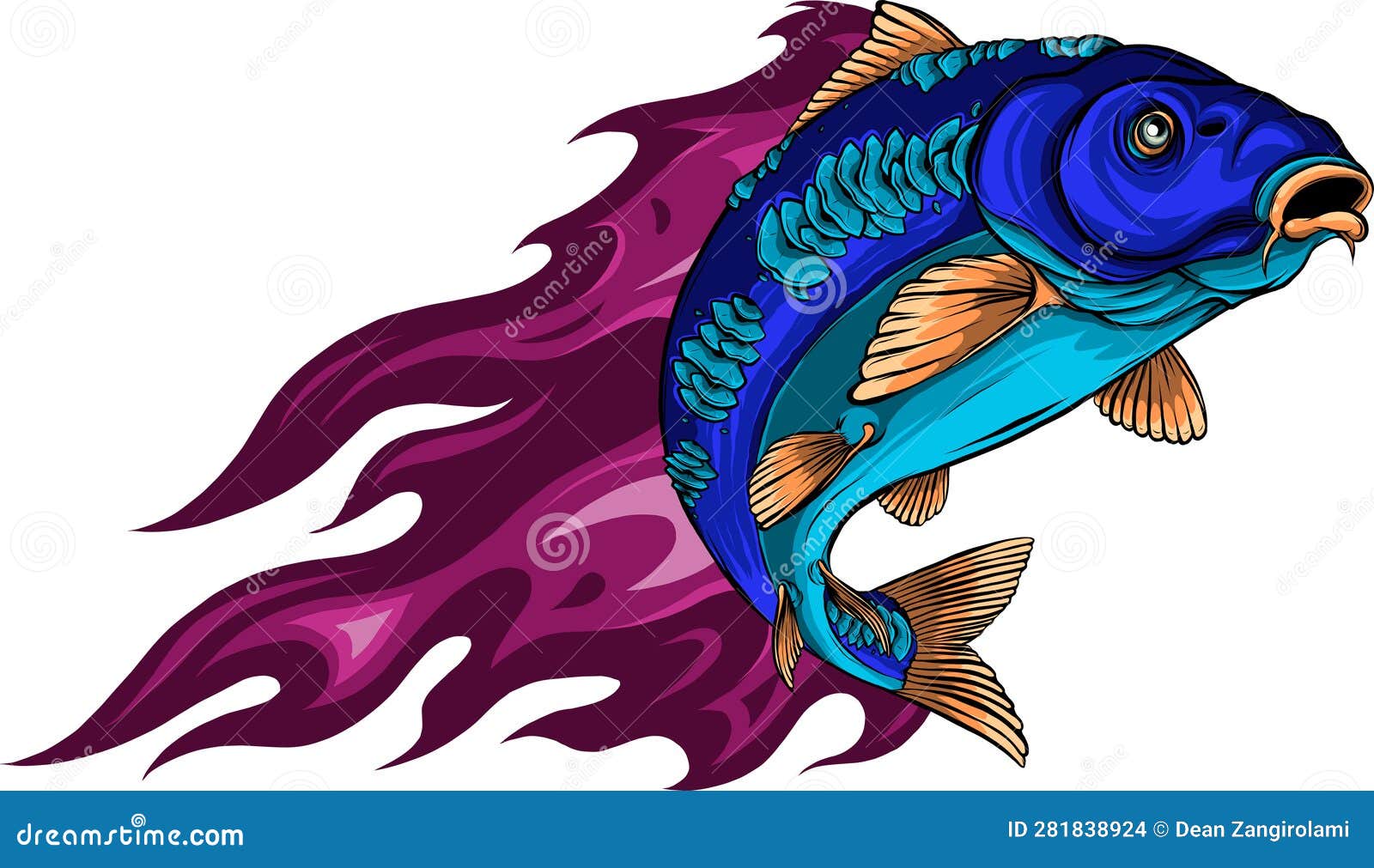 Colored Draw of Carp Fish Vector Illustration Design Stock Vector ...