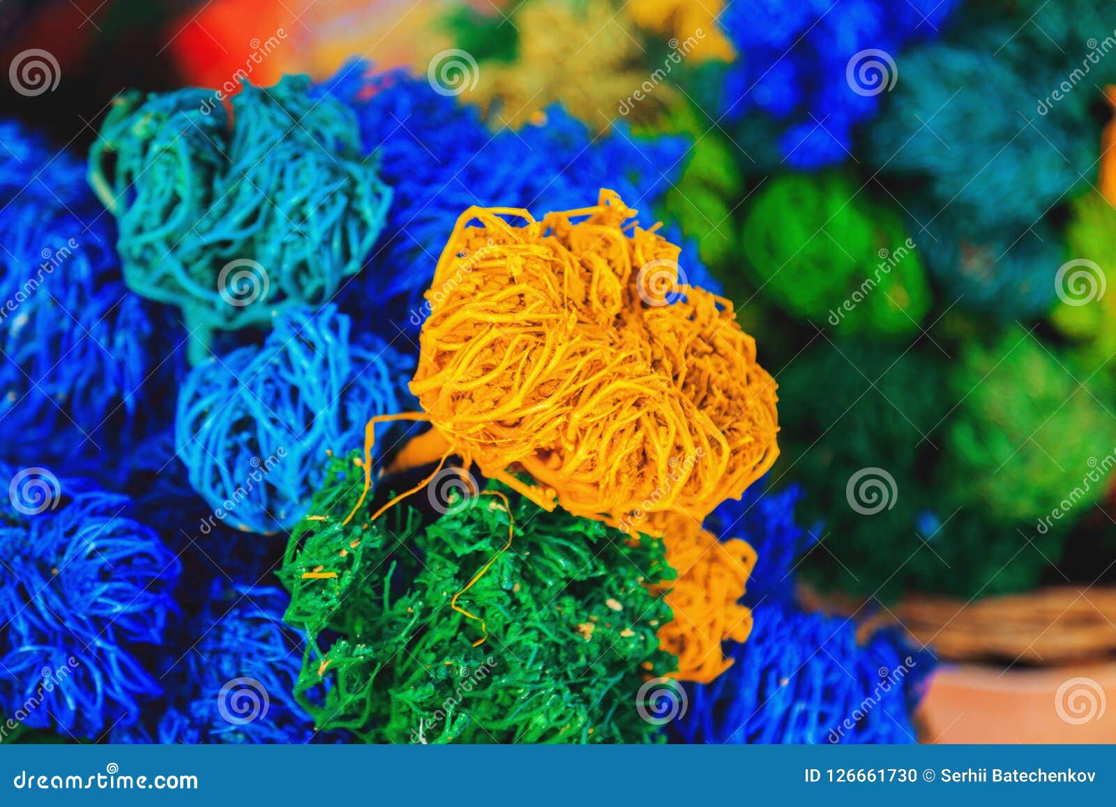 Colored dried algae stock photo. Image of outdoors, green - 126661730