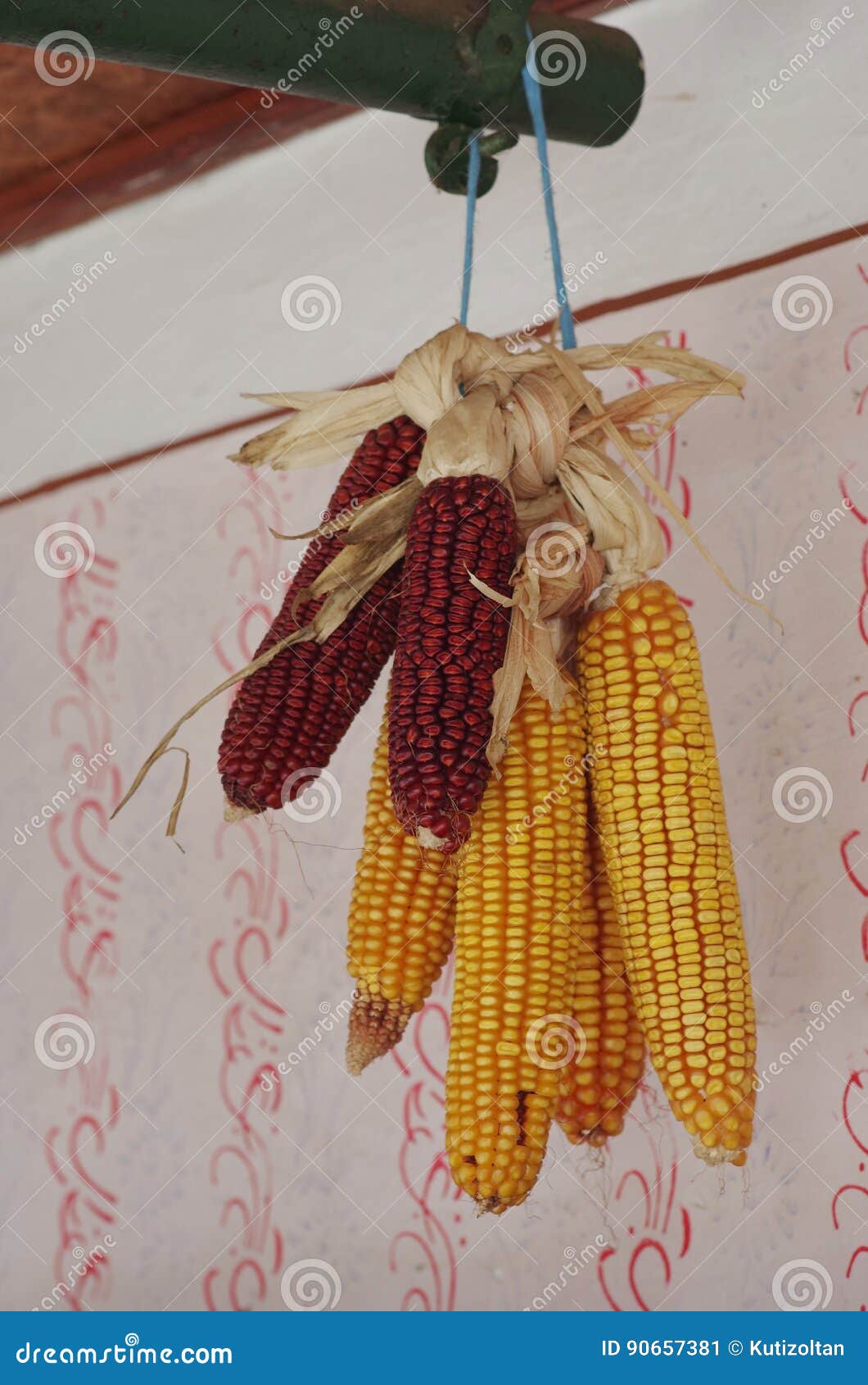 Colored dried corn stock image. Image of corn, colours - 90657381