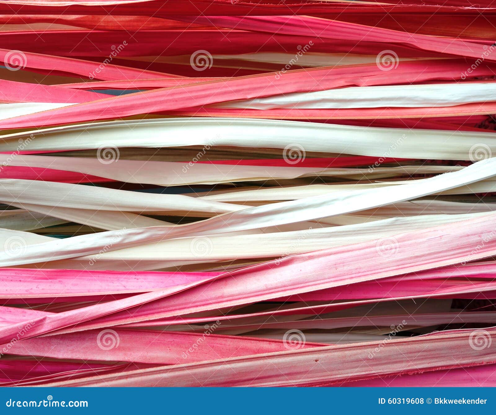 Colored dried palm leaves stock photo. Image of thai - 60319608
