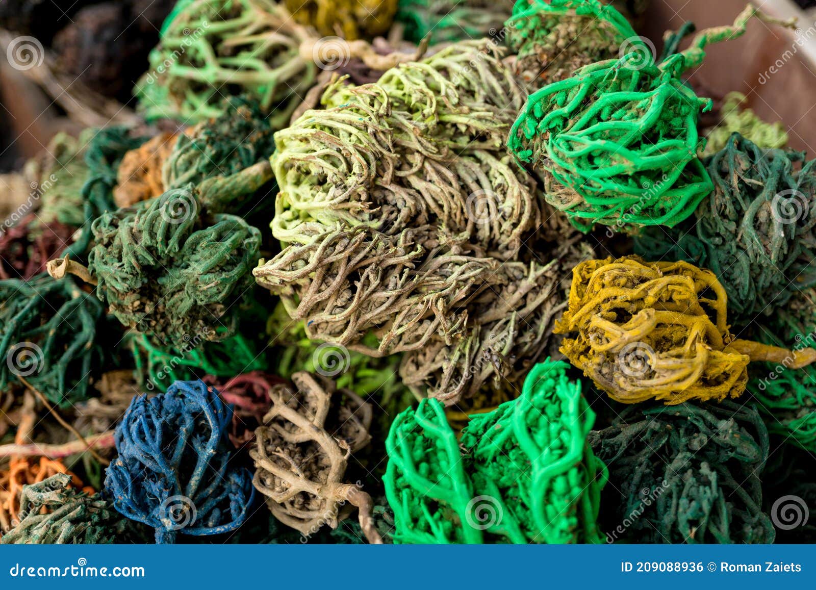 Colored Dried Seaweed Shaped into Decorative Balls Stock Photo - Image ...