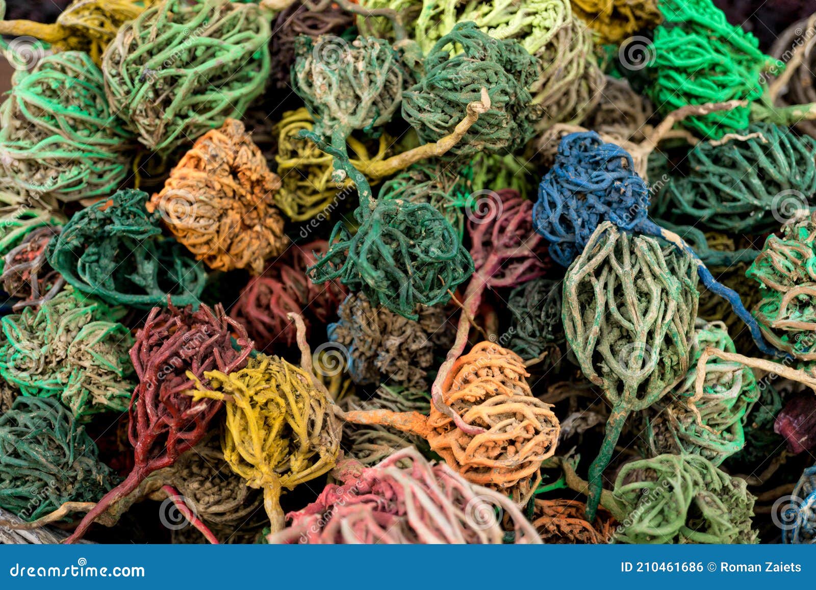 Colored Dried Seaweed Shaped into Decorative Balls Stock Photo - Image ...