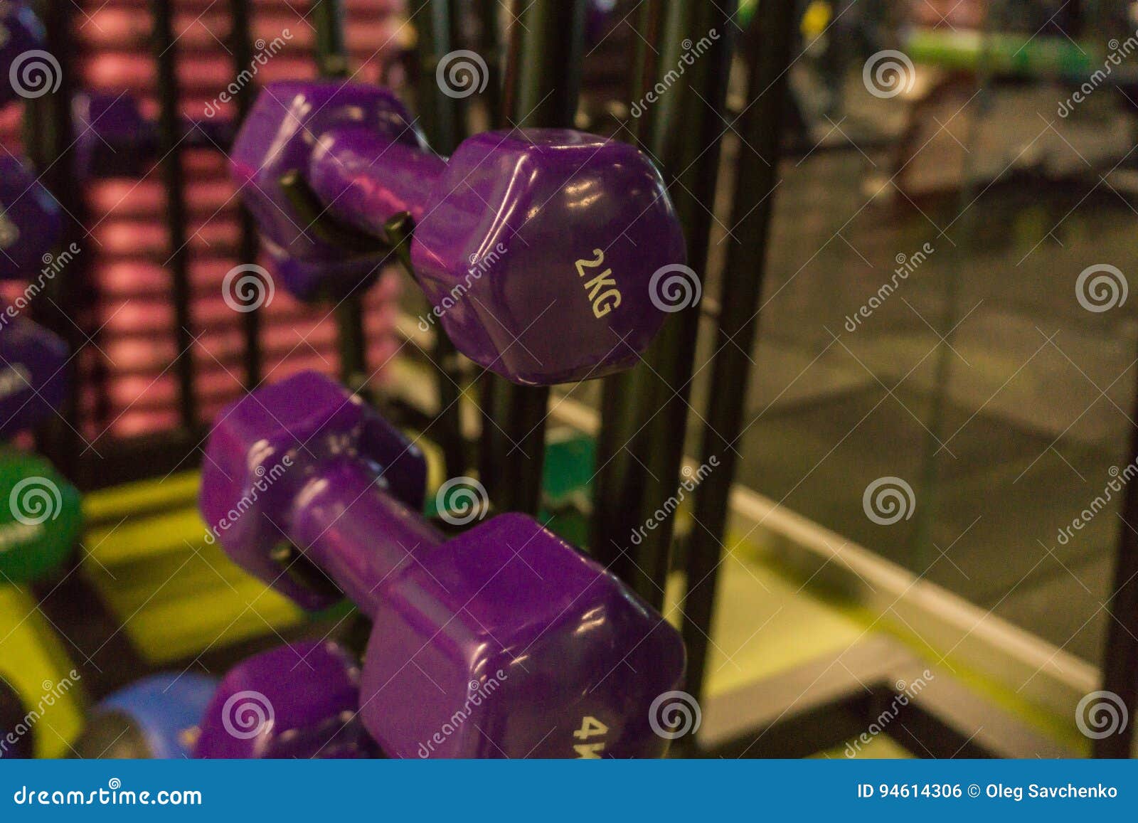 Colored Dumbbells in the Gym Stock Photo - Image of muscular ...