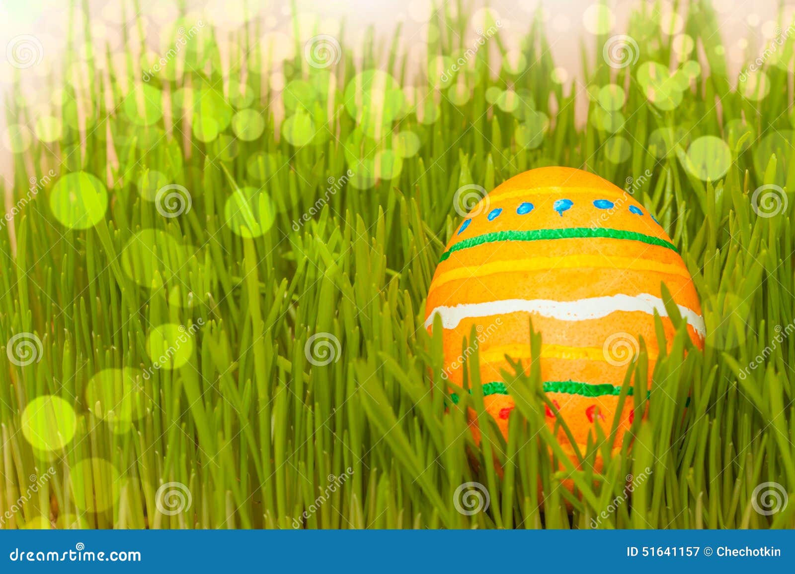 Colored Easter Egg in Grass with Boke Stock Image - Image of spotted, orange: 51641157