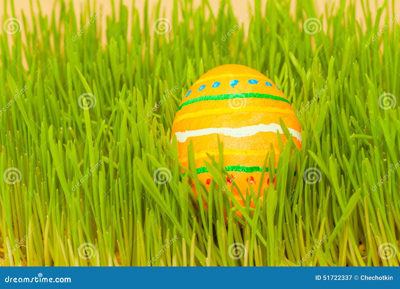 Colored Easter Egg in Grass Stock Image - Image of line, traditional ...