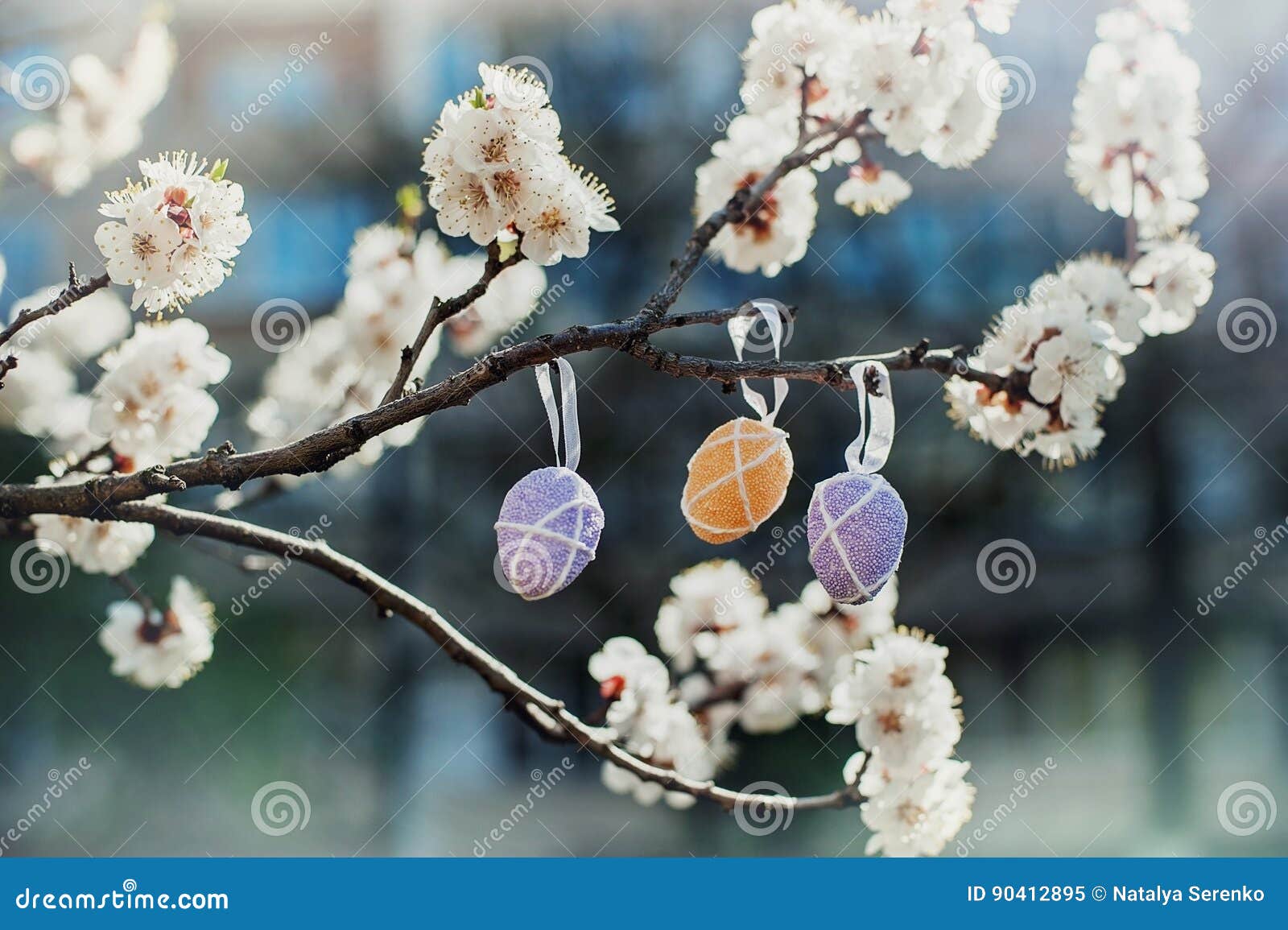 Colored Easter Eggs on a Cherry Tree,Easter Composition Stock Image ...