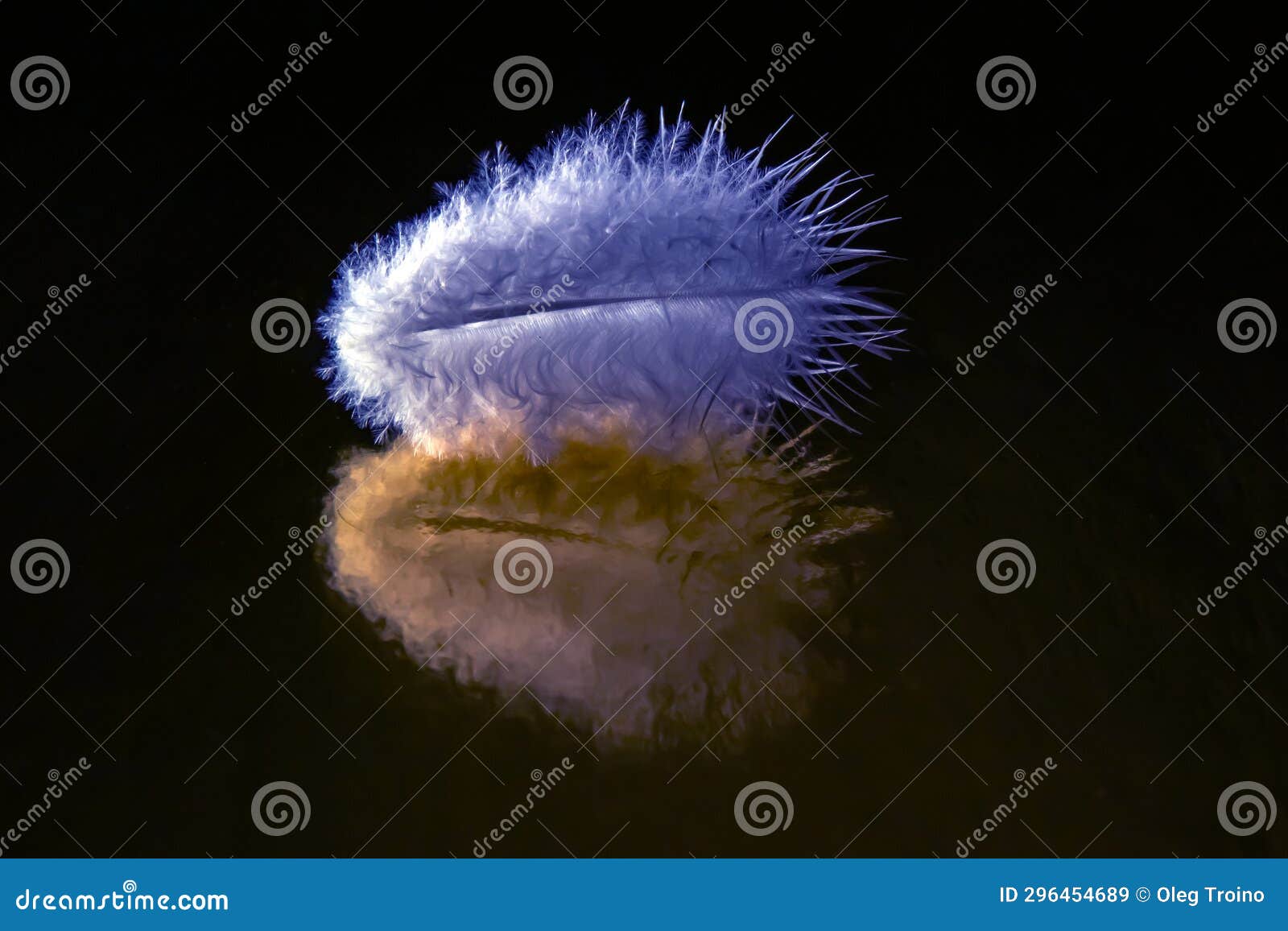 Colored Feather and Bird Fluff on a Dark Background Stock Image - Image ...