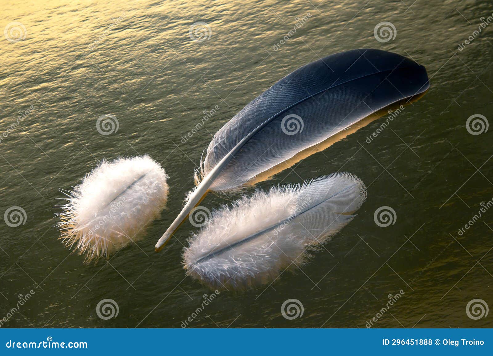 Colored Feather and Bird Fluff on a Golden Background Stock Photo ...