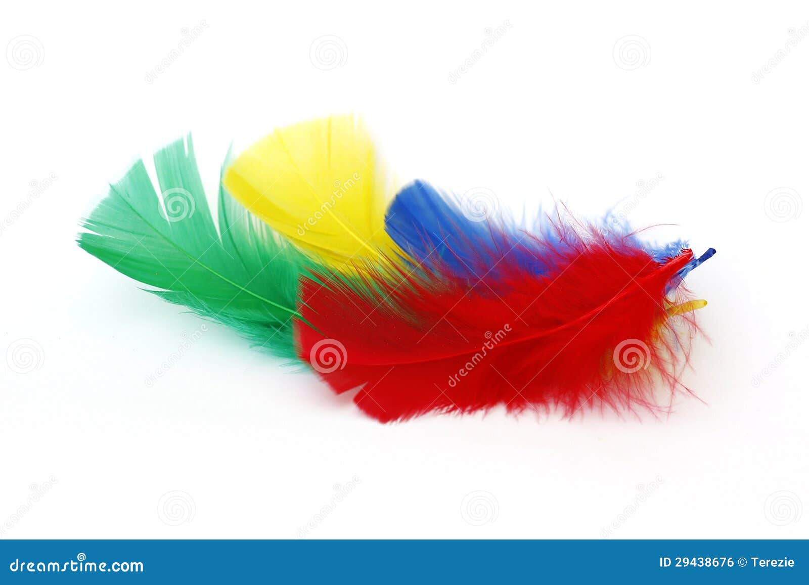 Colored feathers stock photo. Image of carnival, blue - 29438676